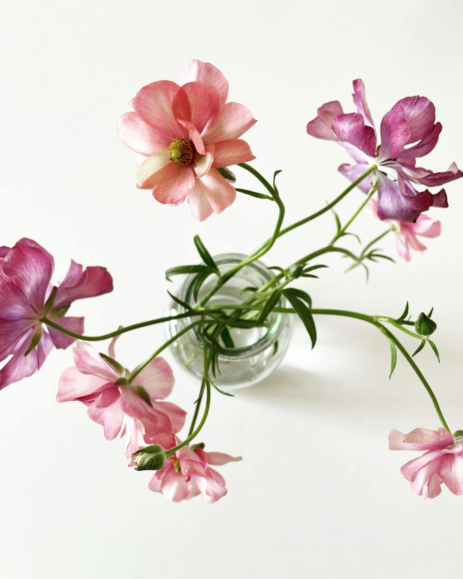 Flowers In A Vase Photos, Download The BEST Free Flowers In A Vase ...