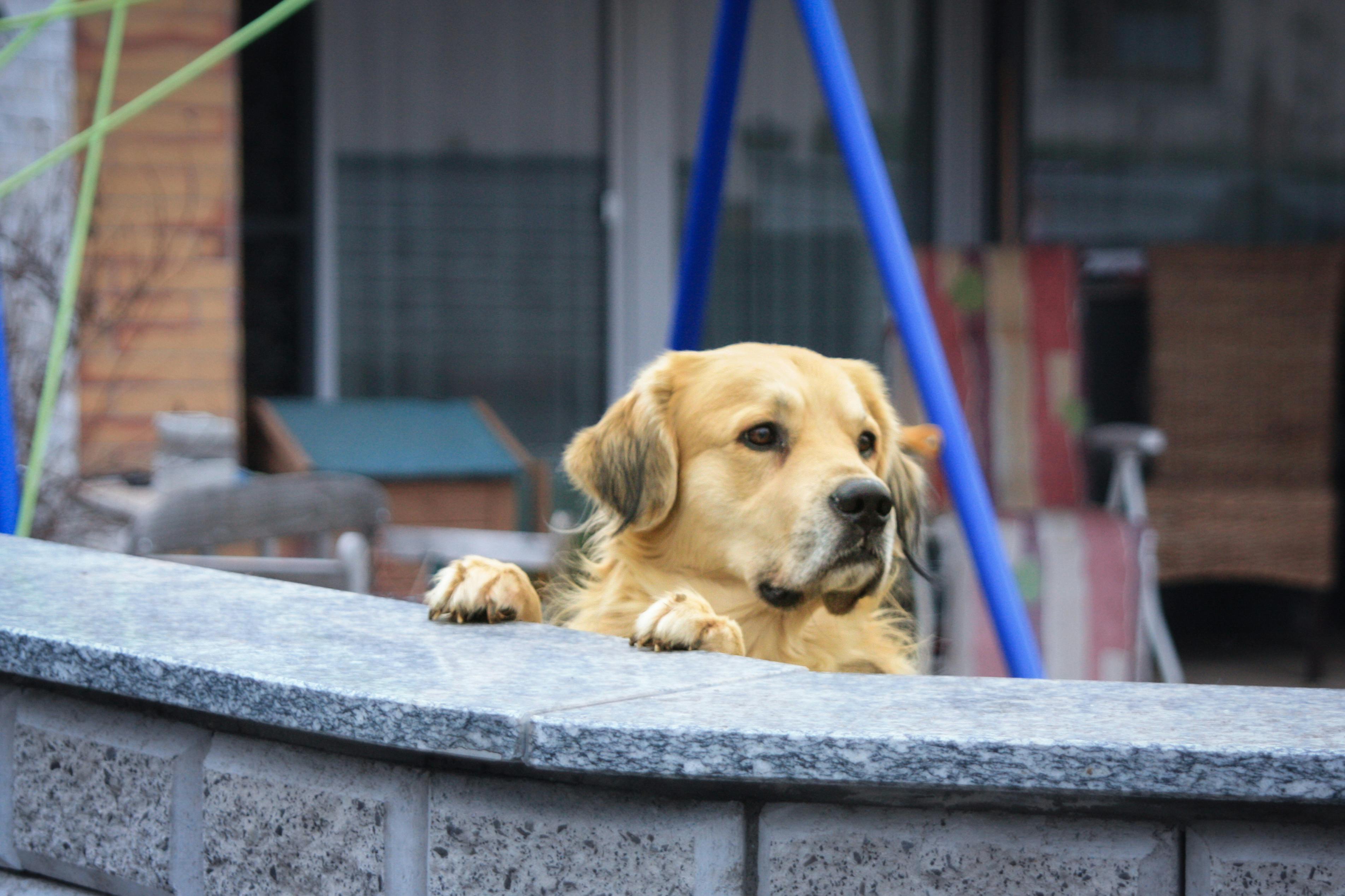 Christian Marohn - Photographie