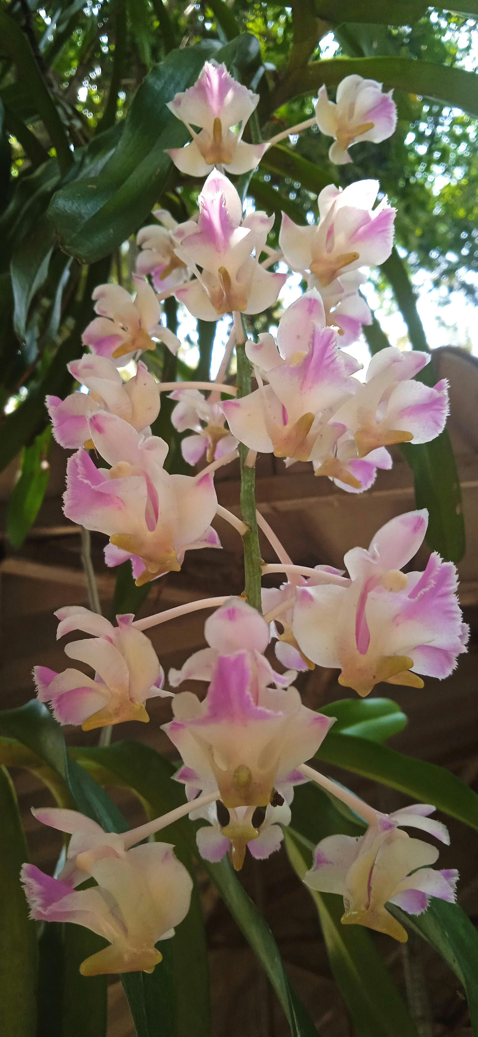 patcharee tangtiang – Fotografie