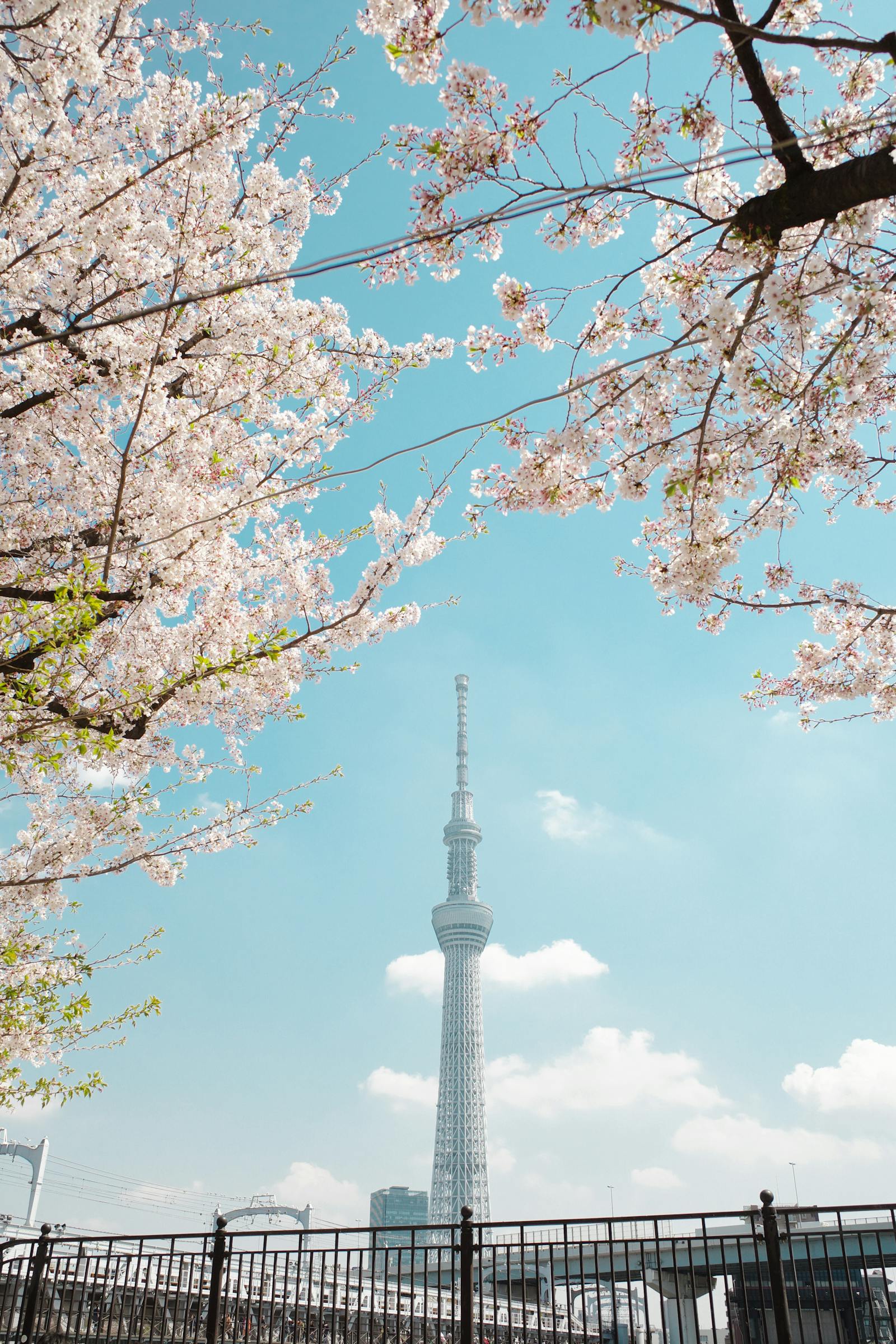 Tokyo Skytree Photos, Download The BEST Free Tokyo Skytree Stock Photos ...