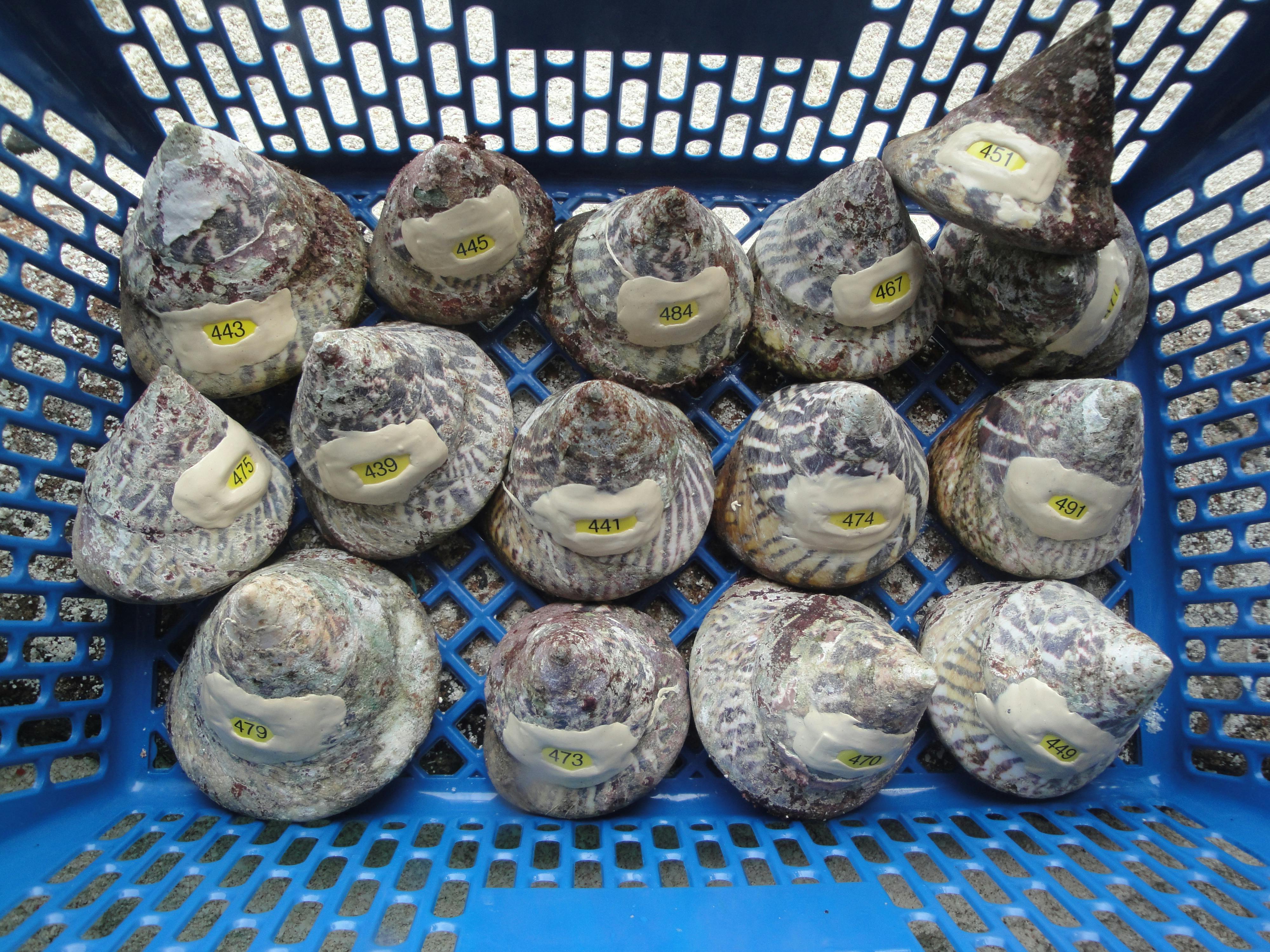 Roger Gasper - Photography