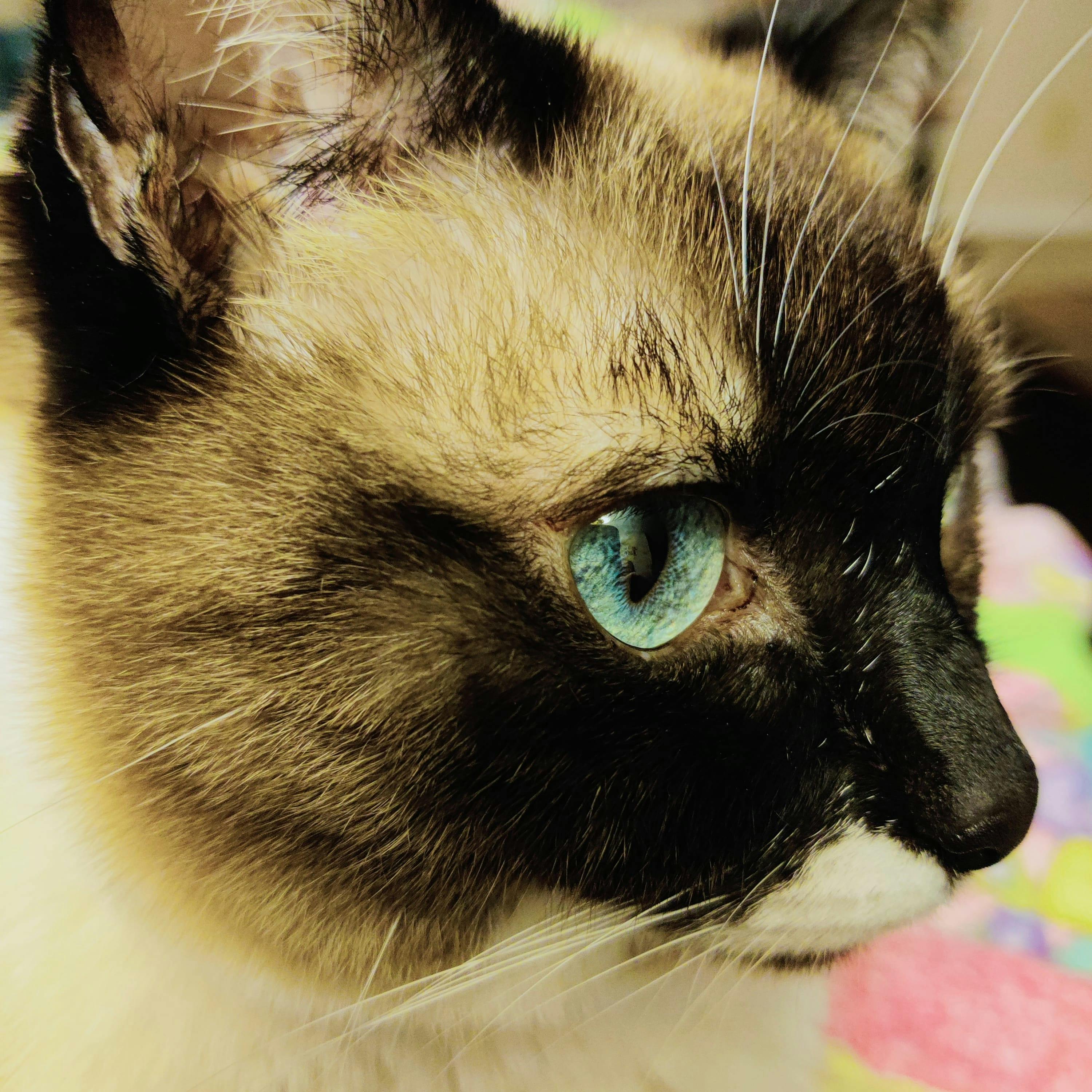 Amy Gabbert - Photography