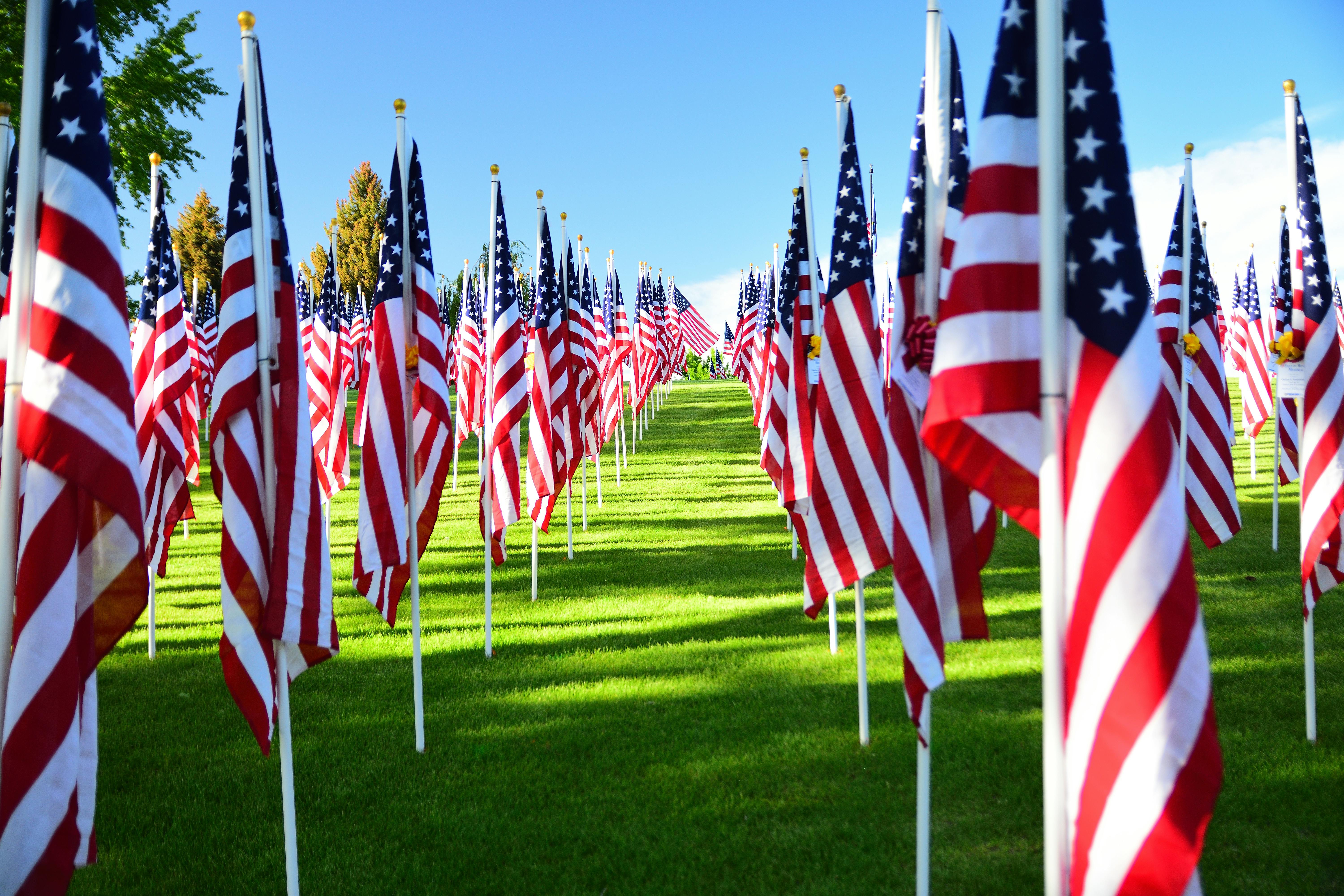 American Flags in Rows · Free Stock Photo