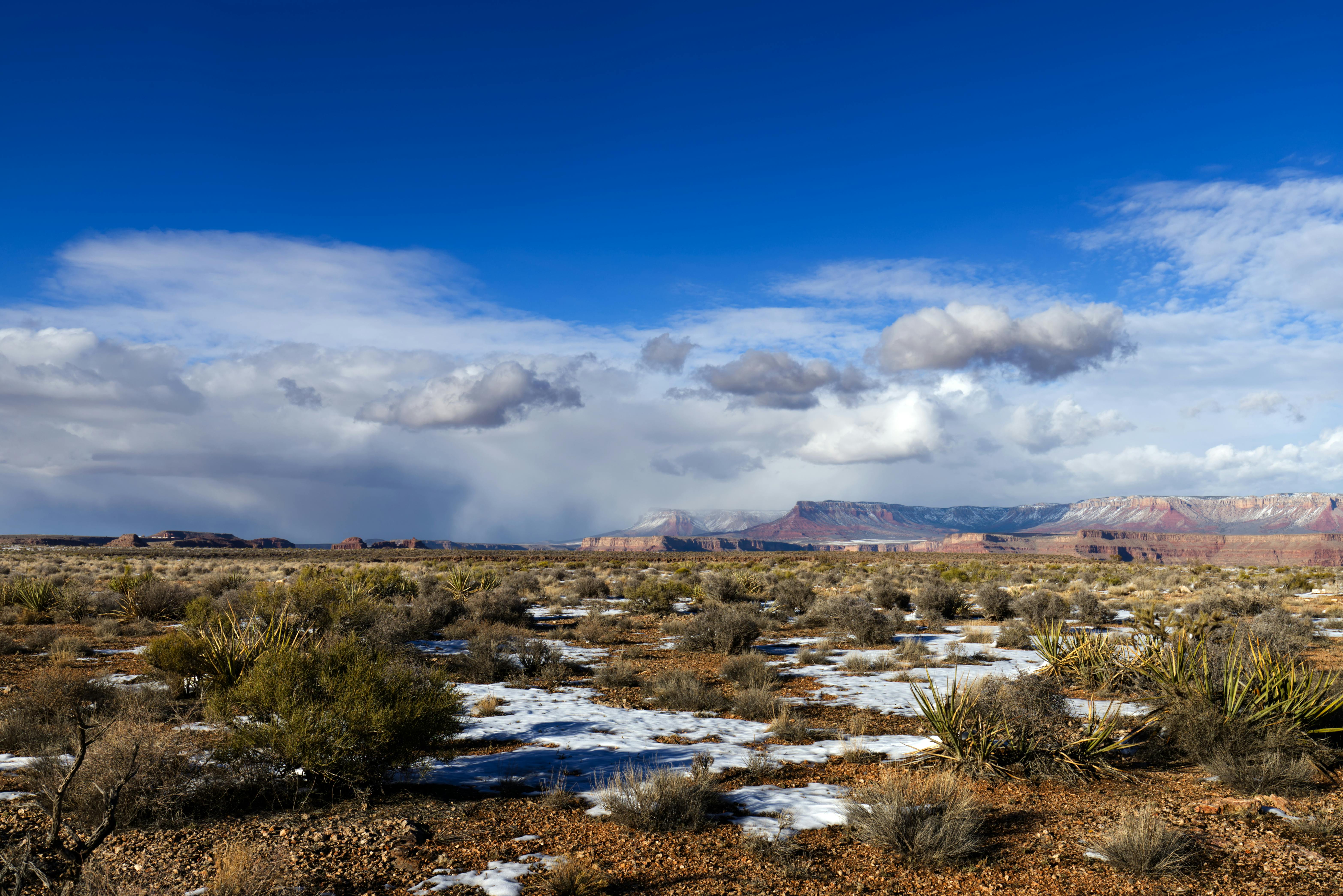 Prairie in Winter · Free Stock Photo