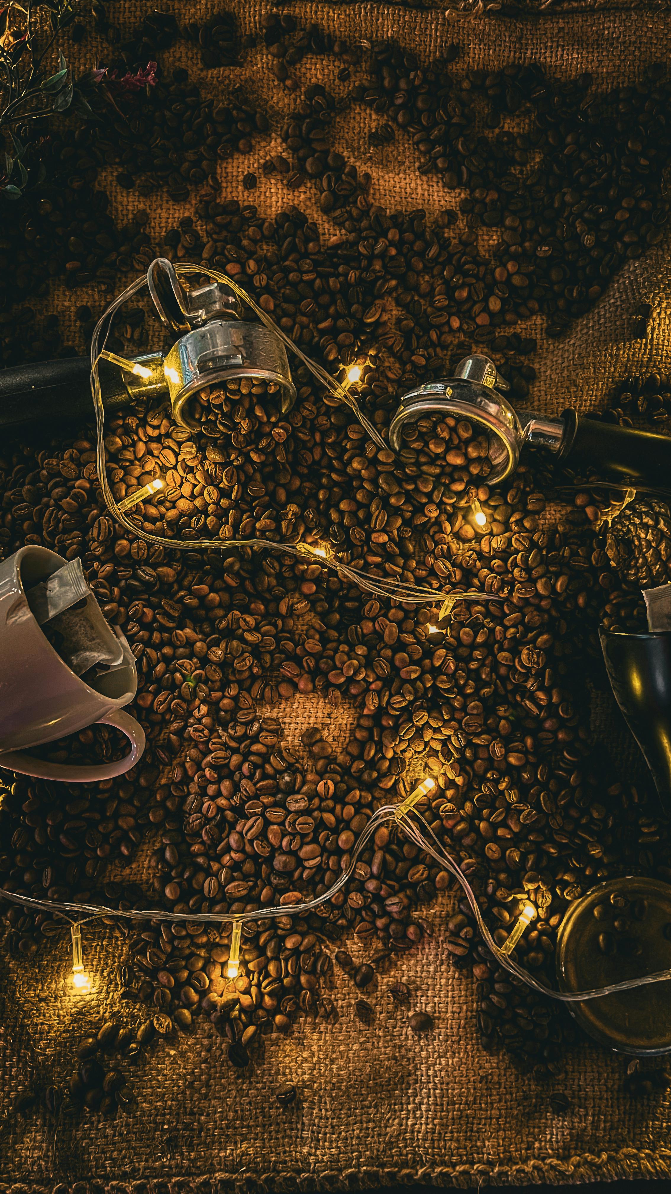 Ferrari Lights Photos, Download The BEST Free Ferrari Lights Stock ...