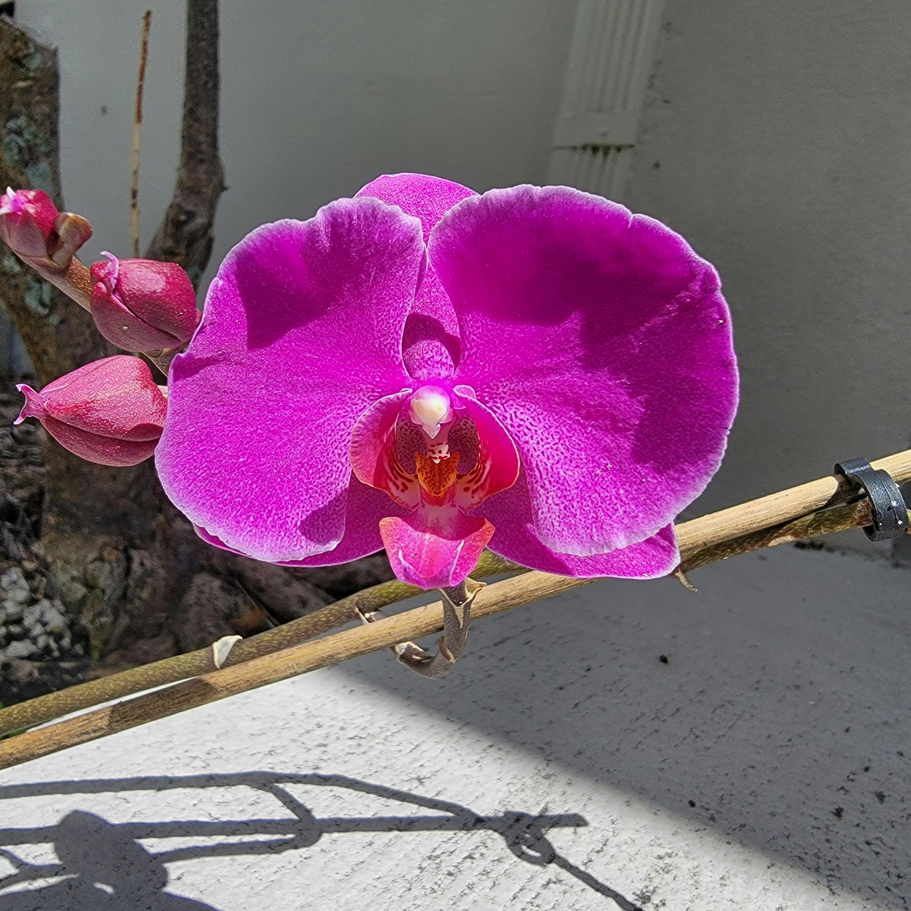 Wayne Howell – Fotografia