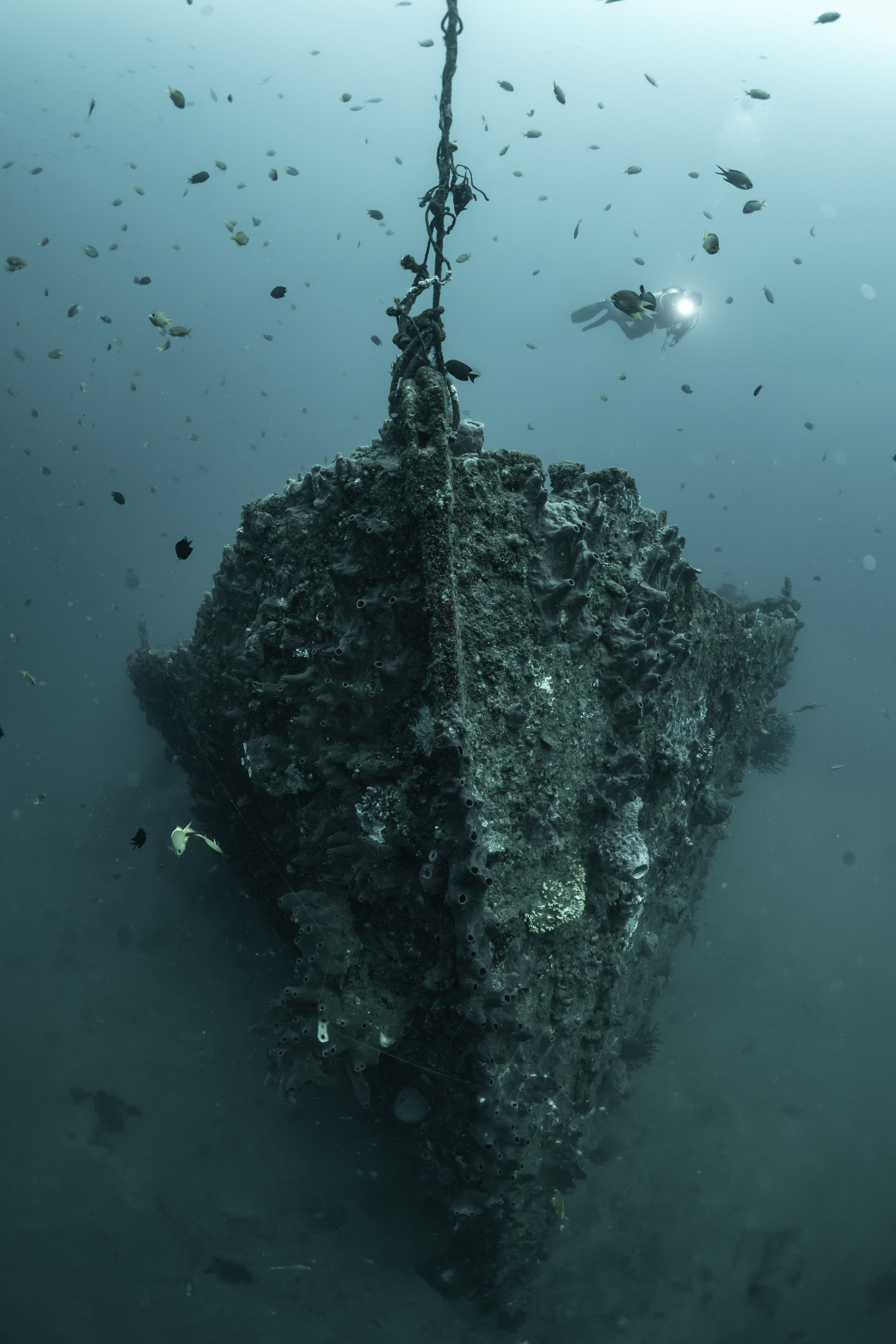 Wreck in Deep Sea · Free Stock Photo