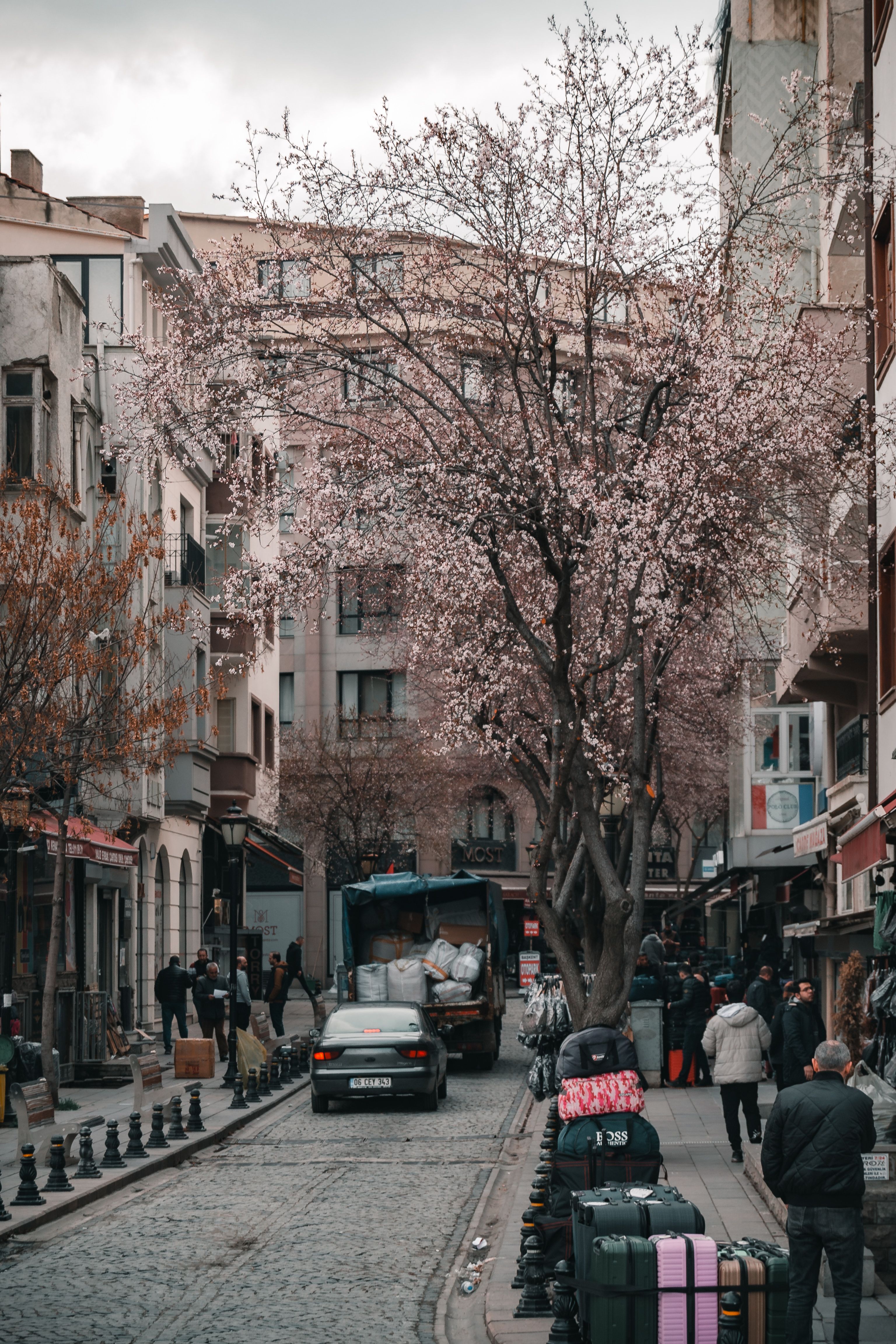 An Alley in City with a Tree with Pink Flowers Growing in front of a ...