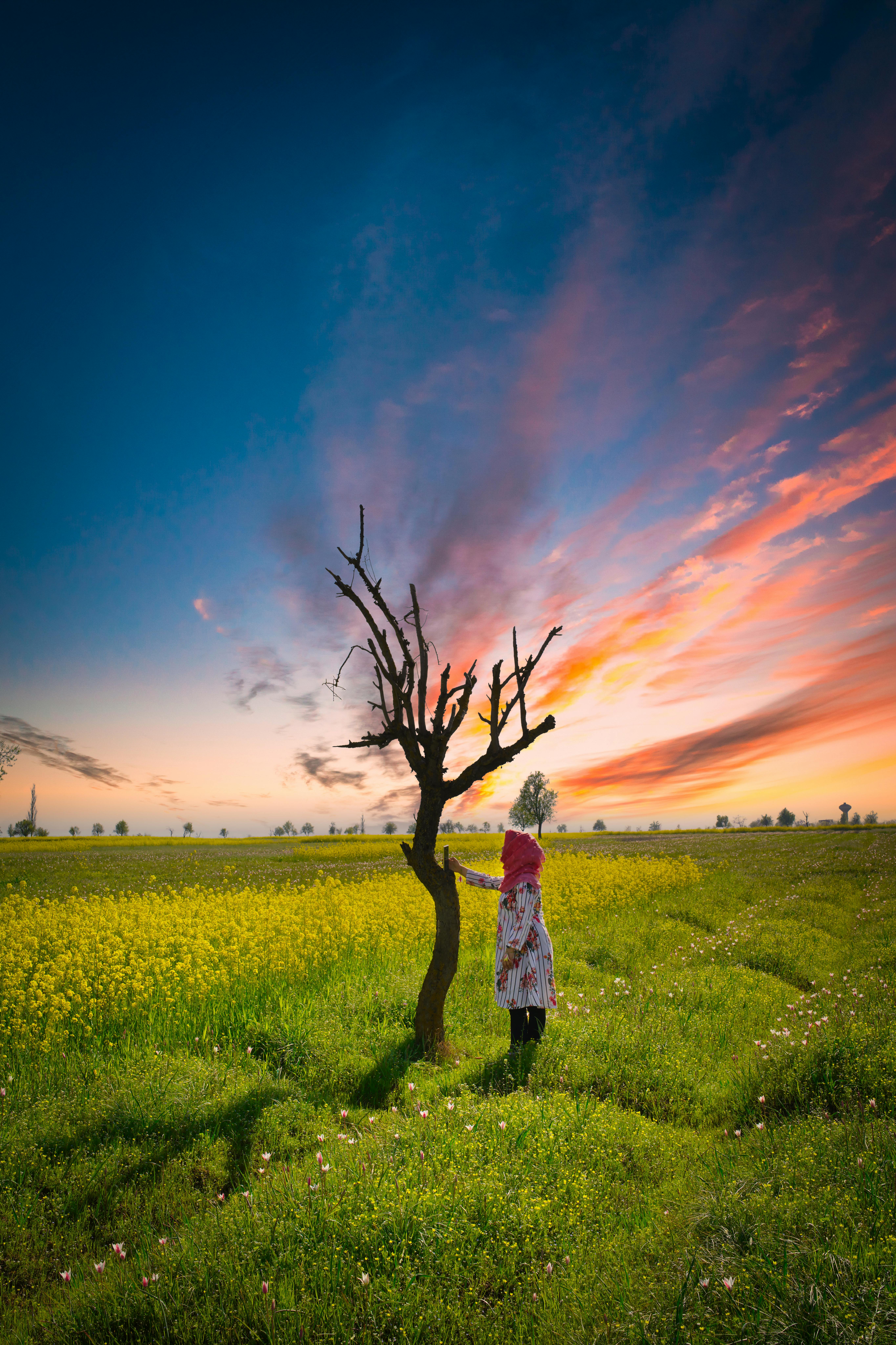 Imad Clicks - 摄影