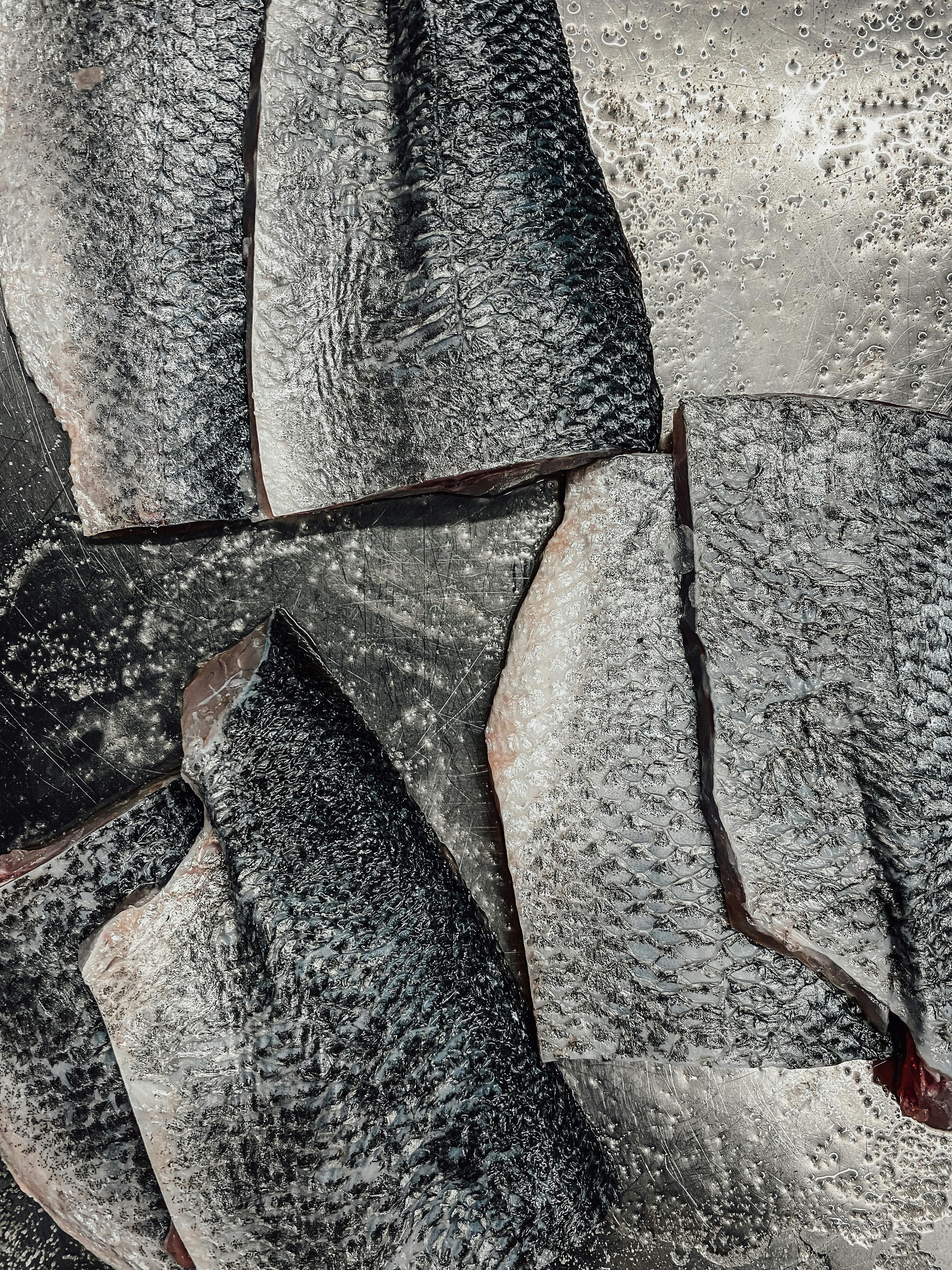 Fish Catch · Free Stock Photo