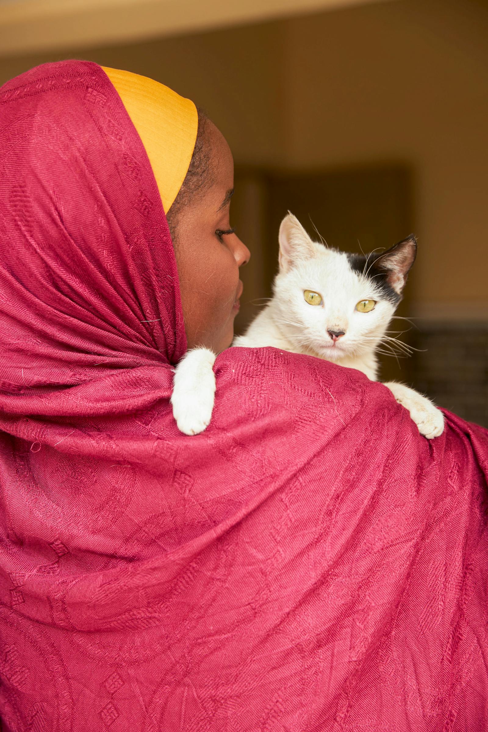 Woman With Cat Photos, Download The BEST Free Woman With Cat Stock ...