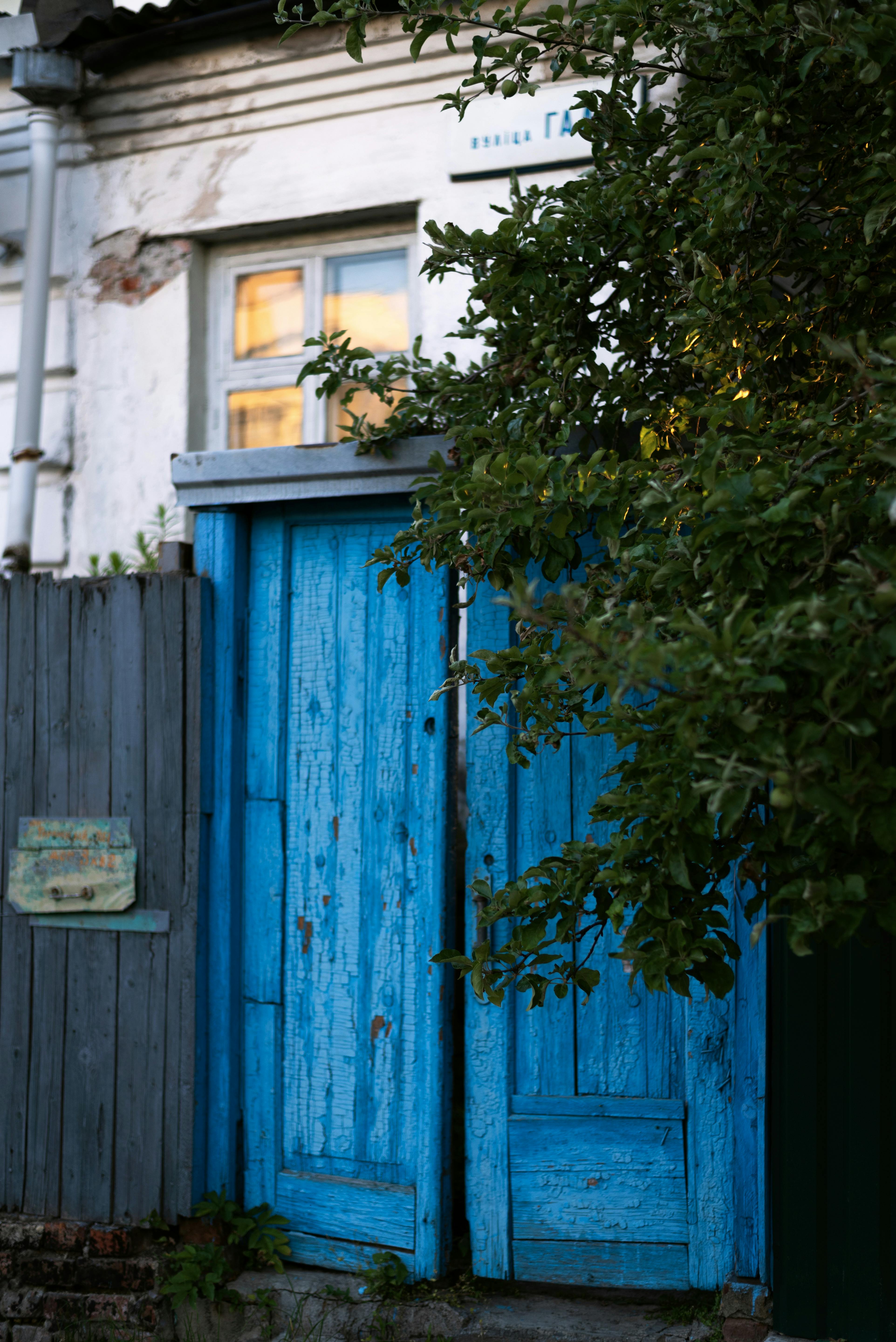 A Blue Gate · Free Stock Photo