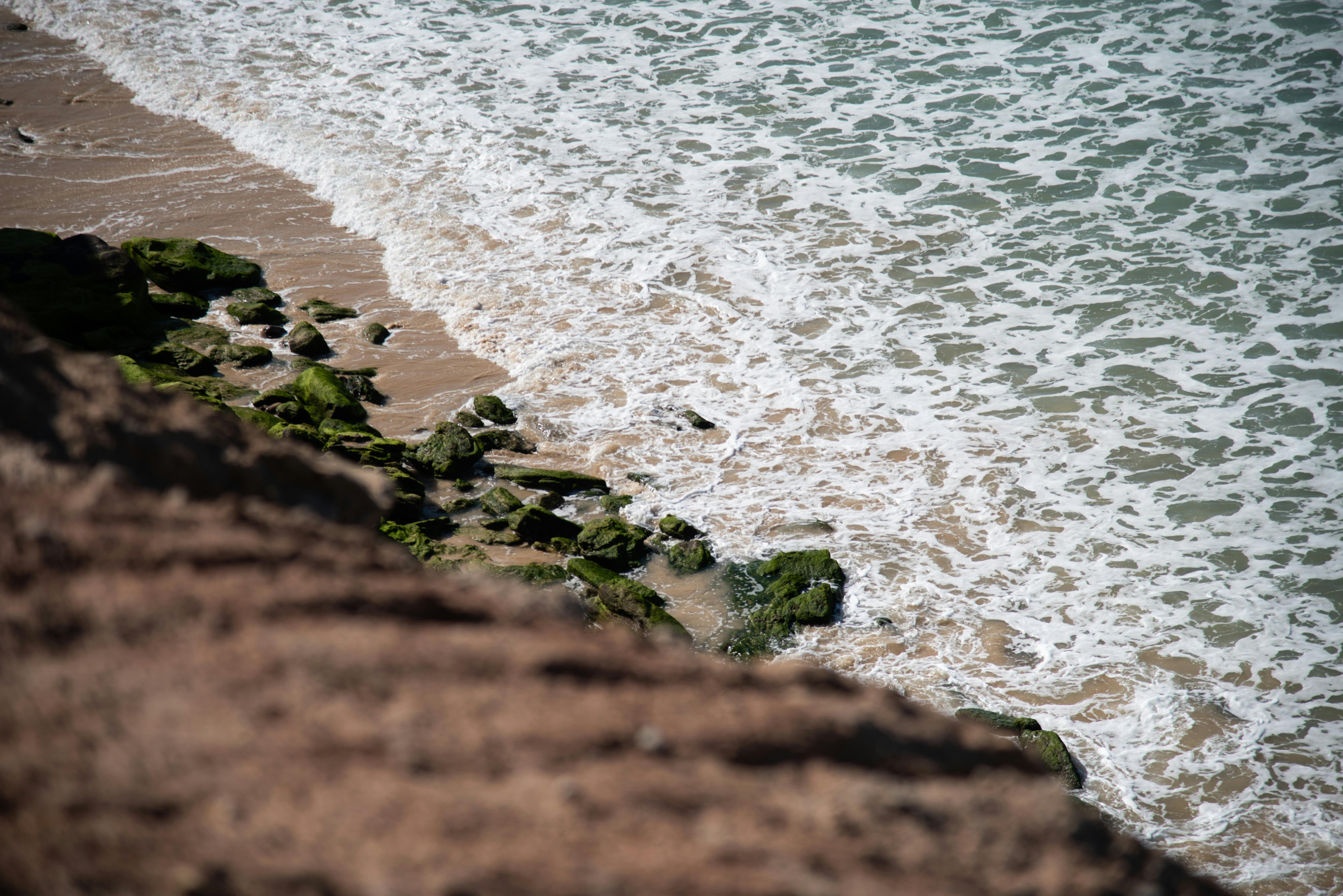 View of Waves Washing Up the Beach · Free Stock Photo