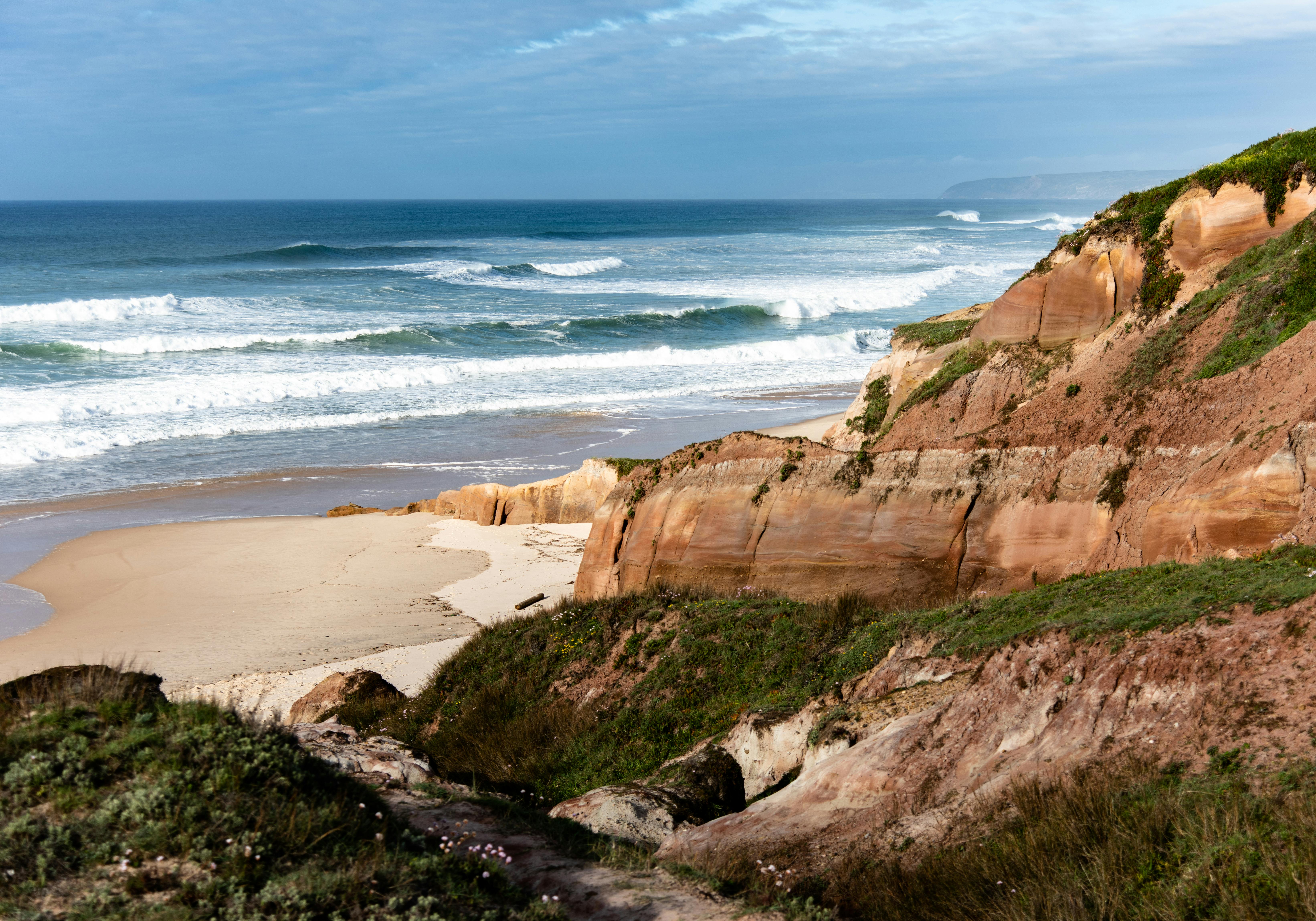 Grass on Top of Cliff by Ocean · Free Stock Photo