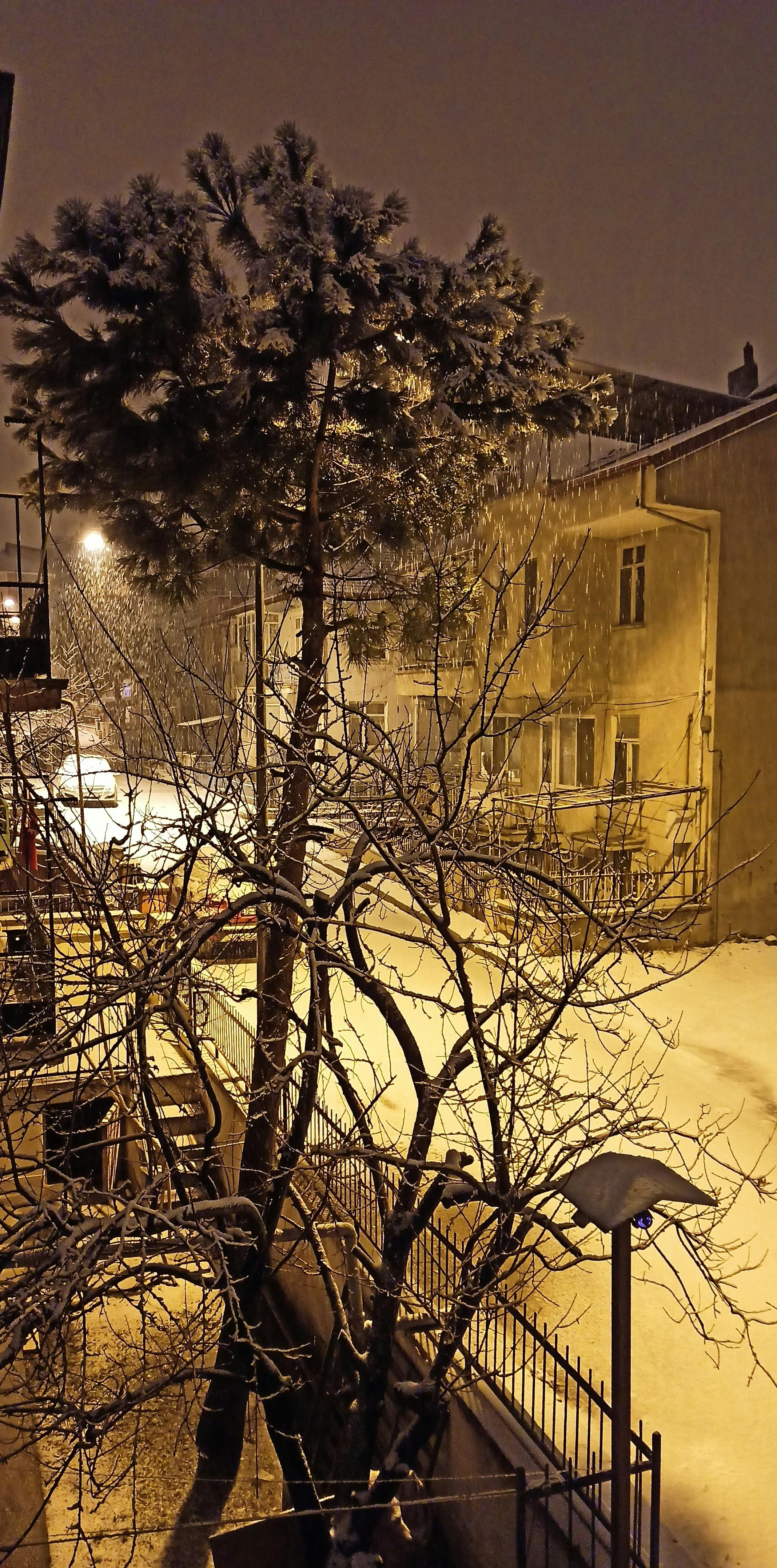 Wizard System - 사진