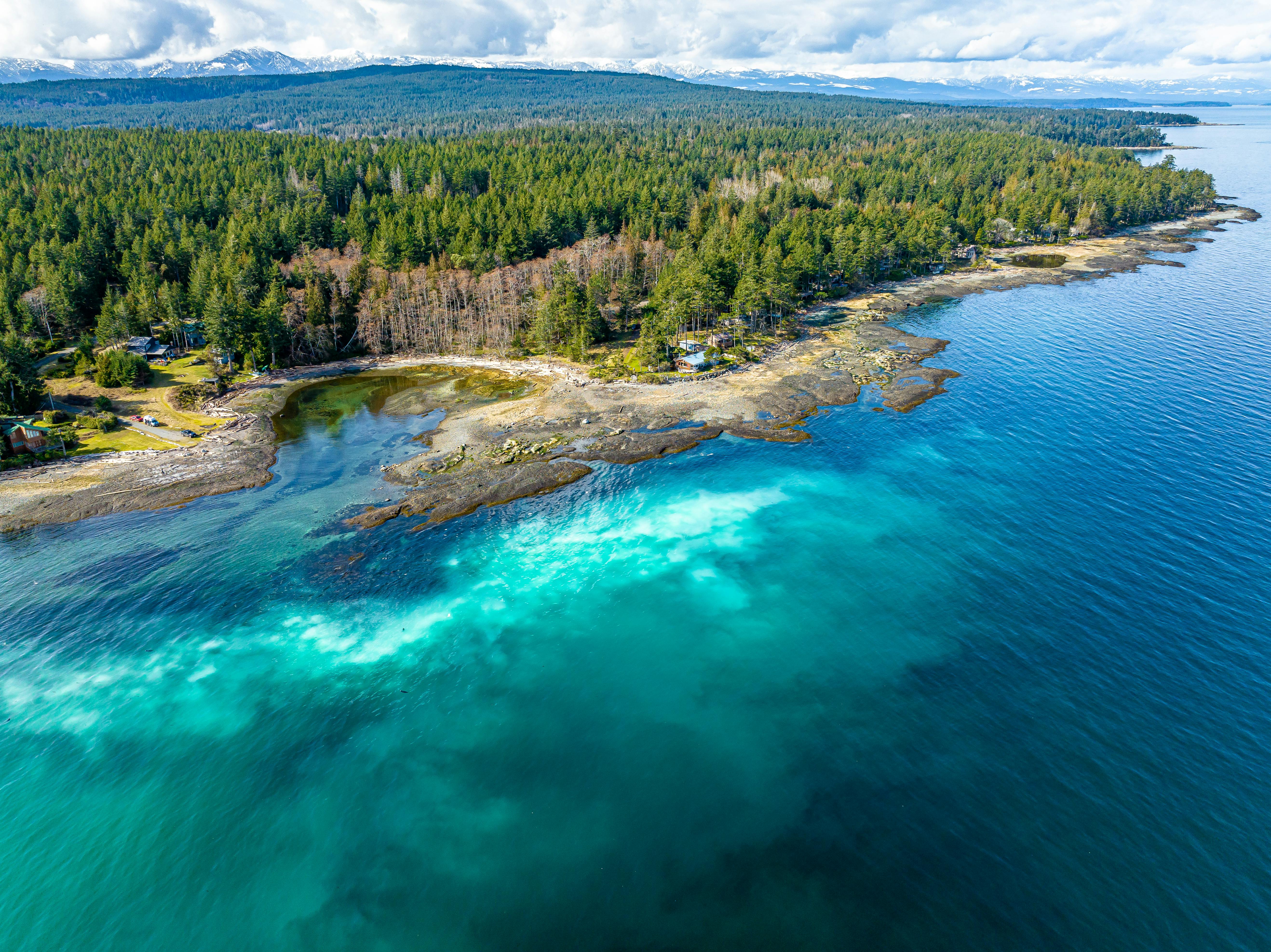 Aerial View of a Forested Coastline in Summer · Free Stock Photo