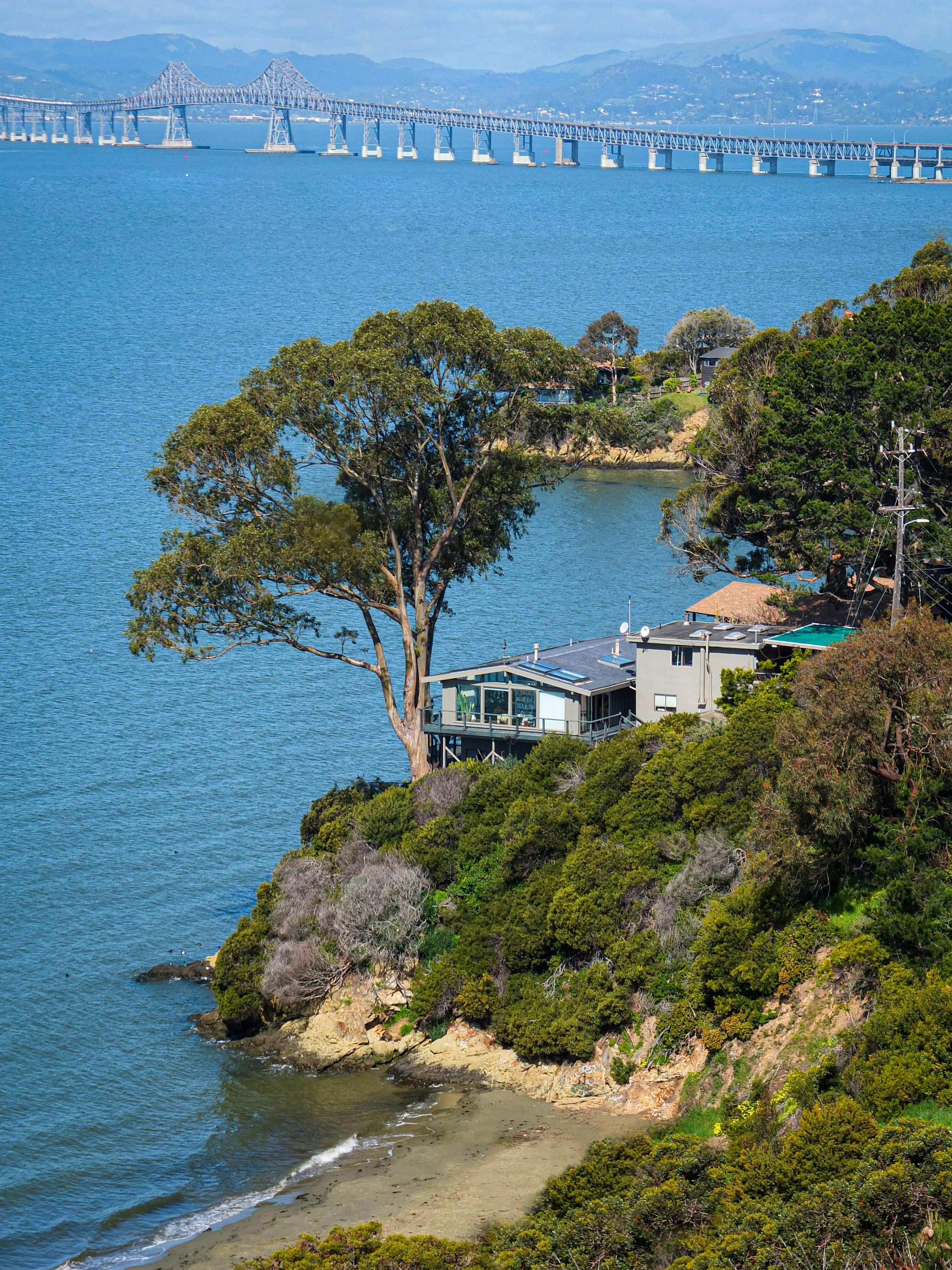 Shore of the San Francisco Bay with the Richmond-San Rafael Bridge in ...