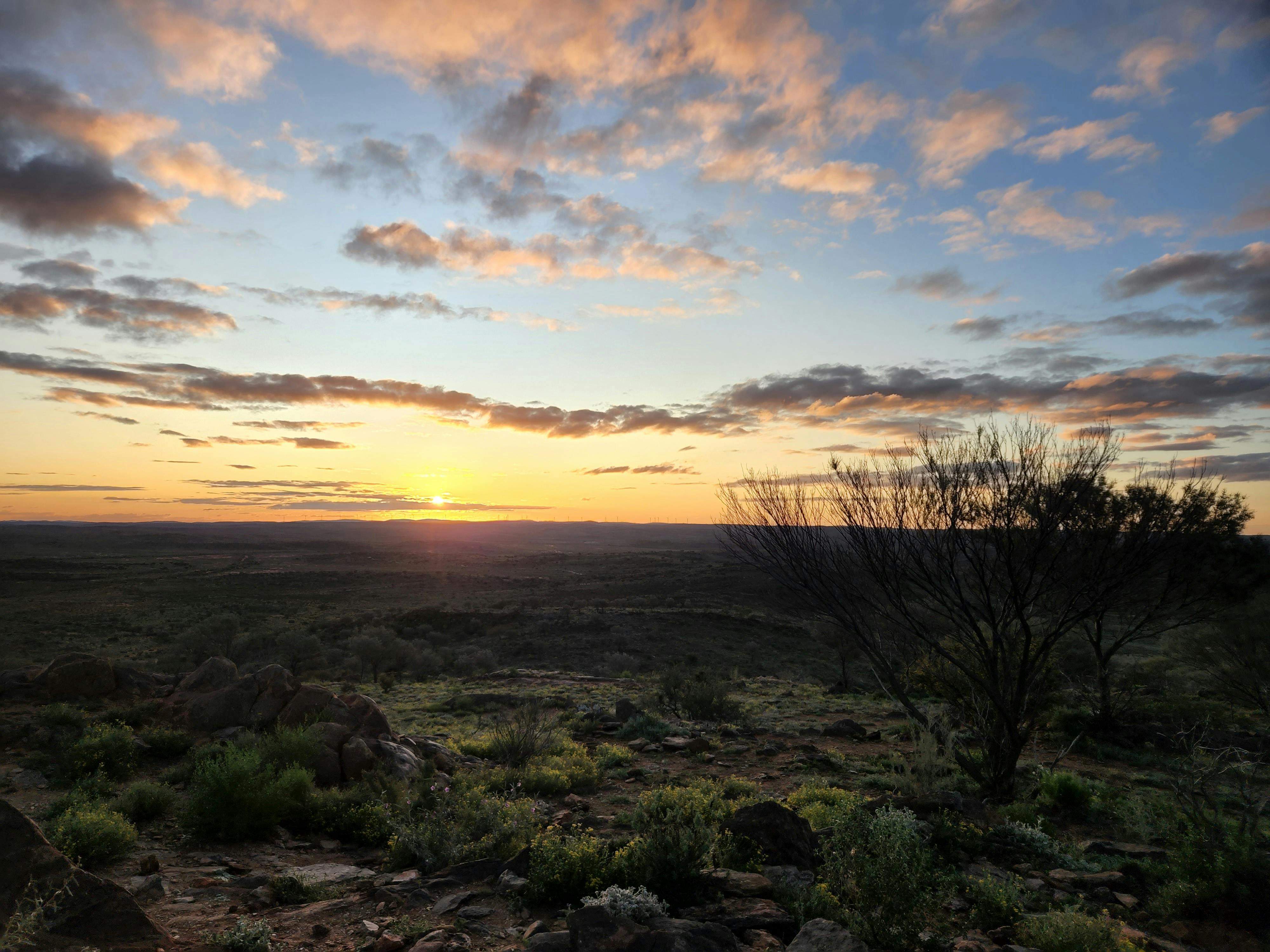 Greg Bondar - 사진