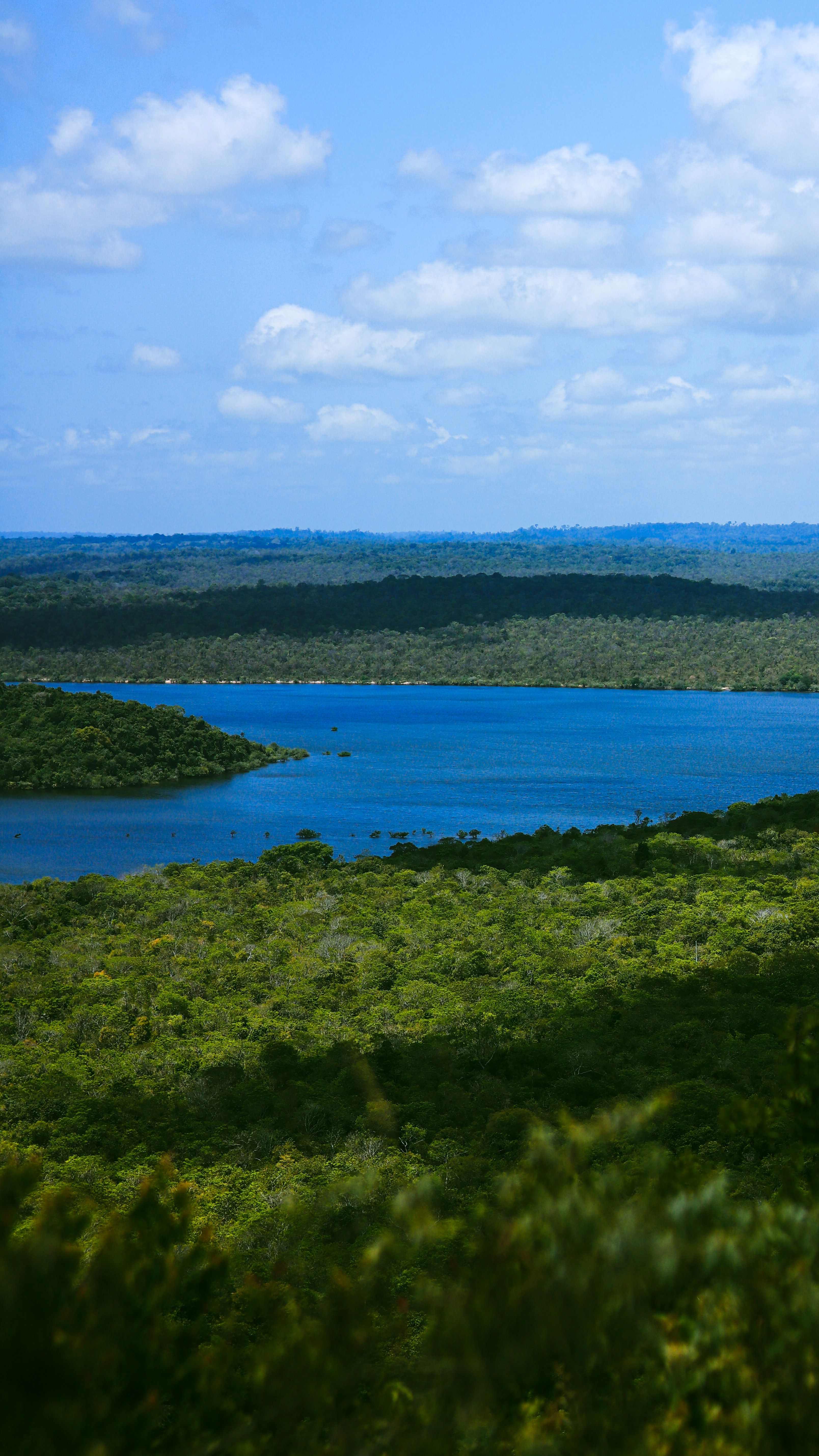 Landscape with Green Forests and a Blue River · Free Stock Photo