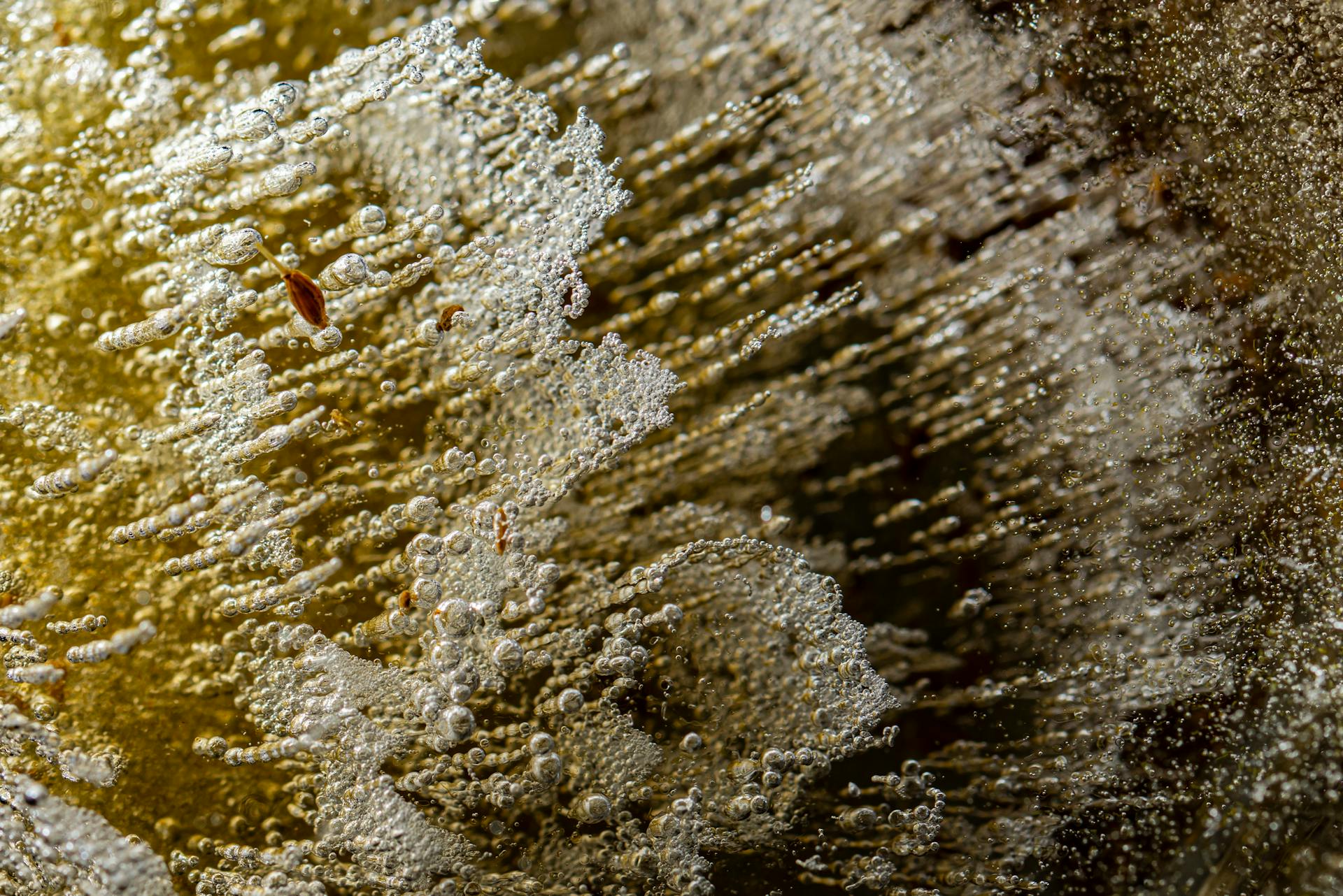 Decoding Spot Gold Ticker Symbol for Gold Market Investors