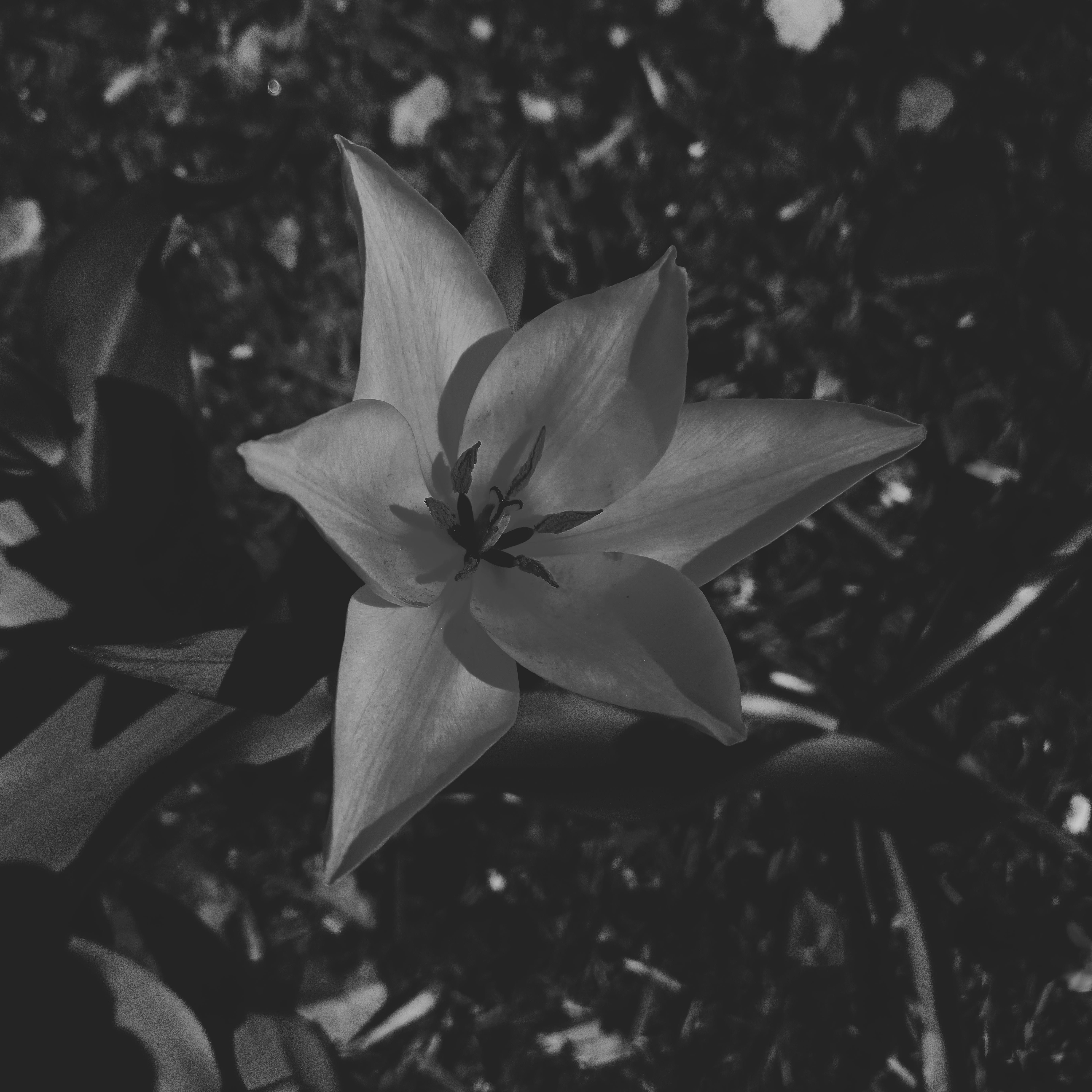 Martin Olaf - 사진