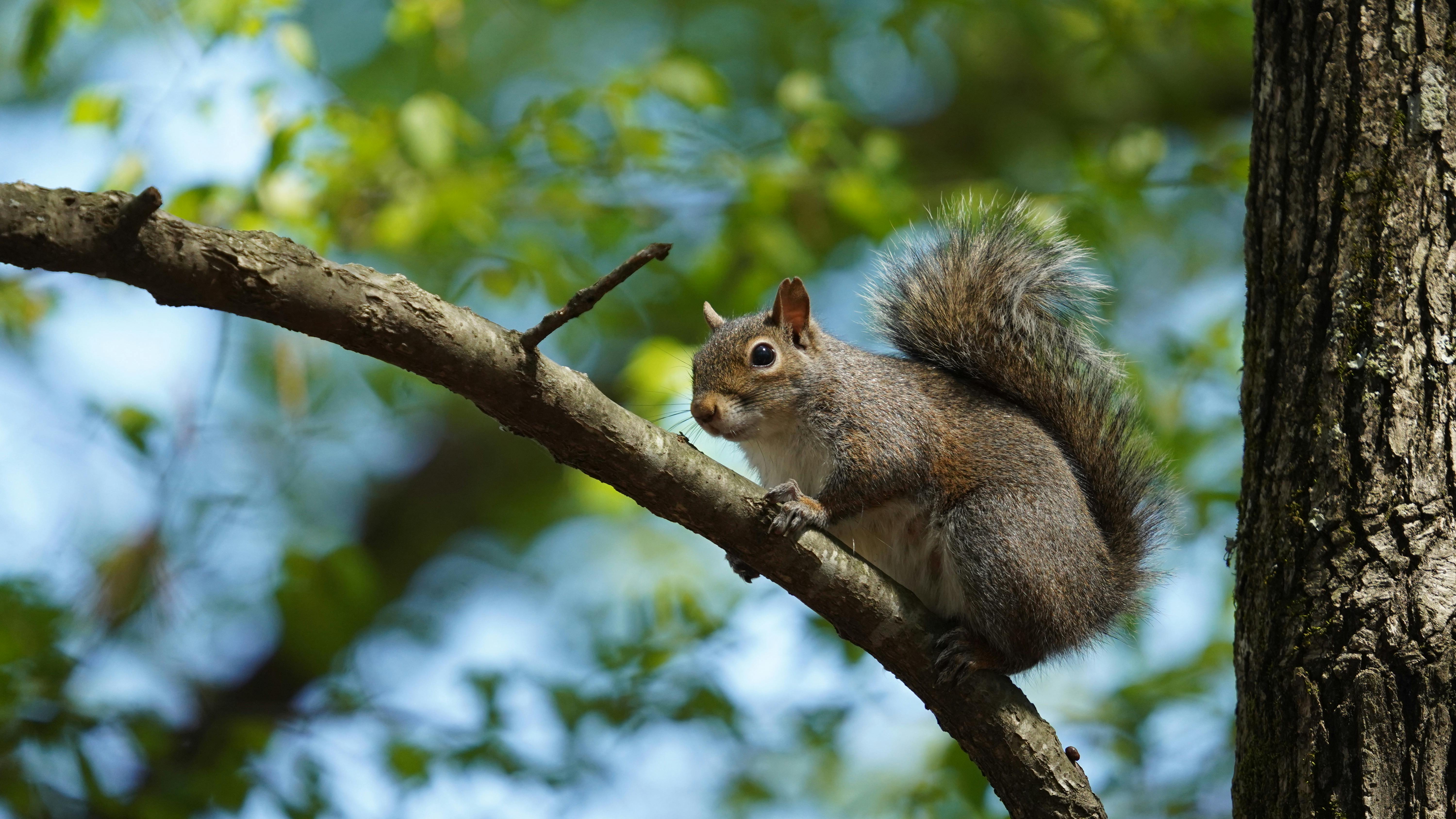 Summer Nature Photos, Download The BEST Free Summer Nature Stock Photos ...