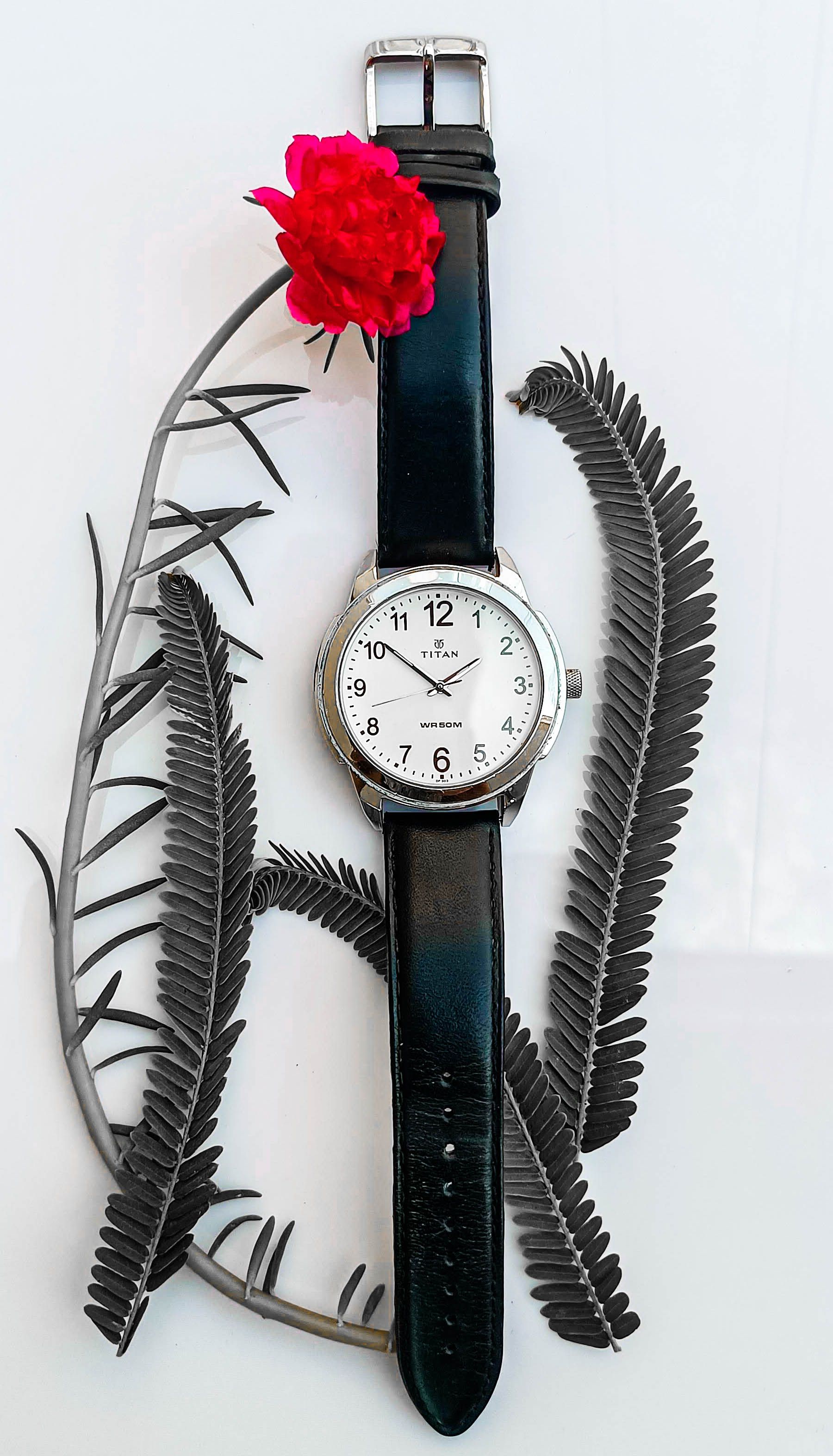 Flower, Feathers and Wristwatch · Free Stock Photo
