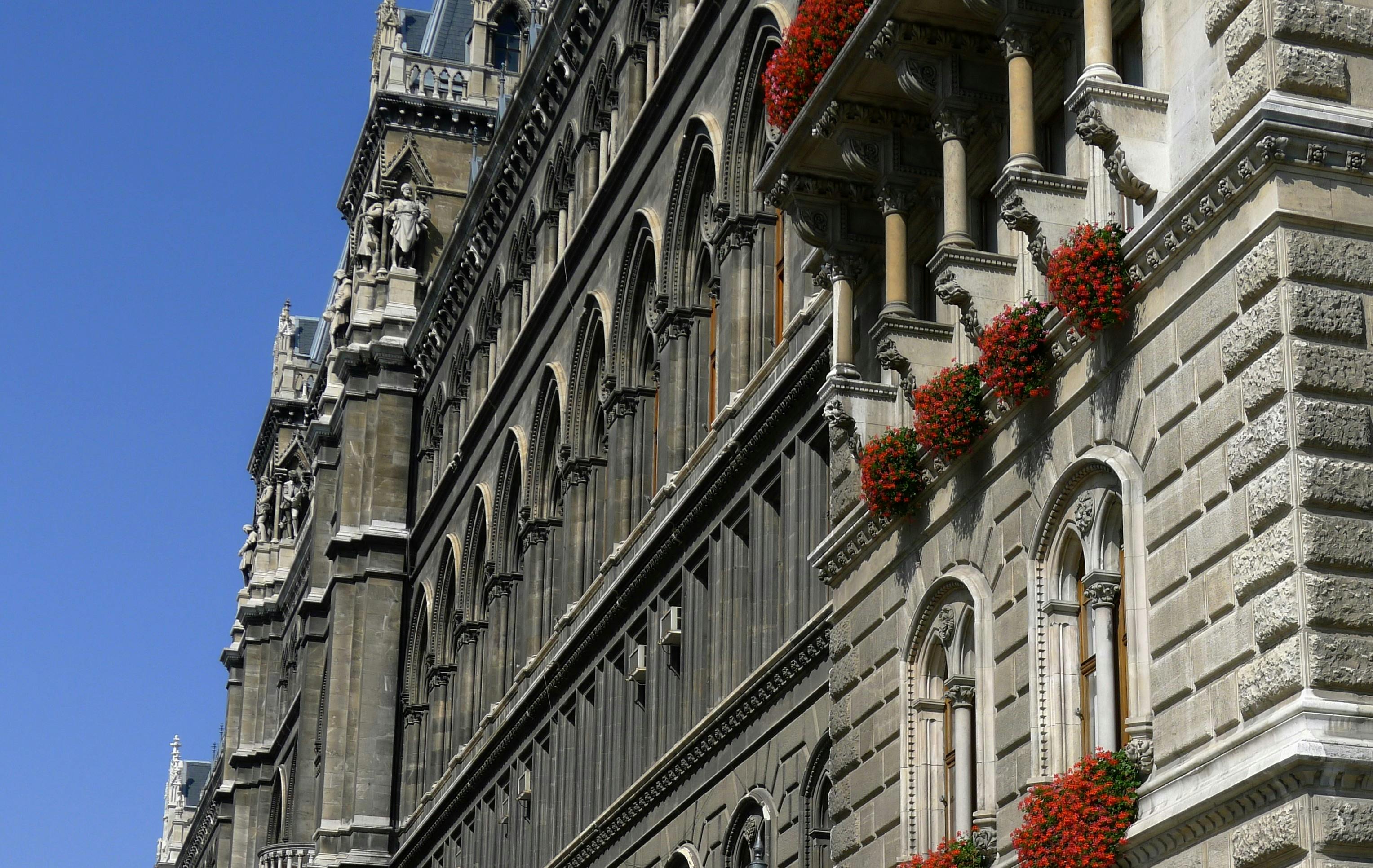 ming chow - Photography