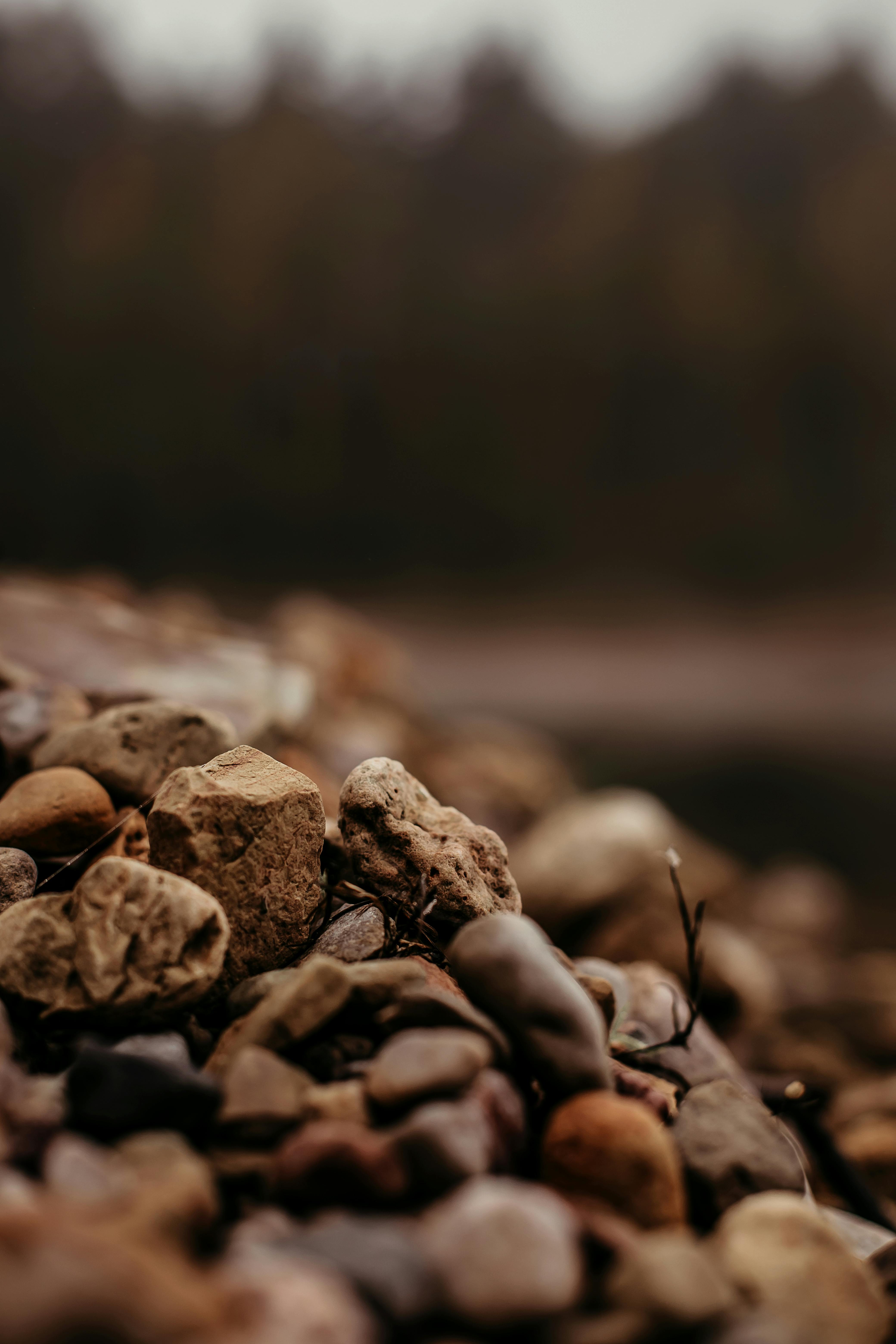 Rocks in Close Up · Free Stock Photo