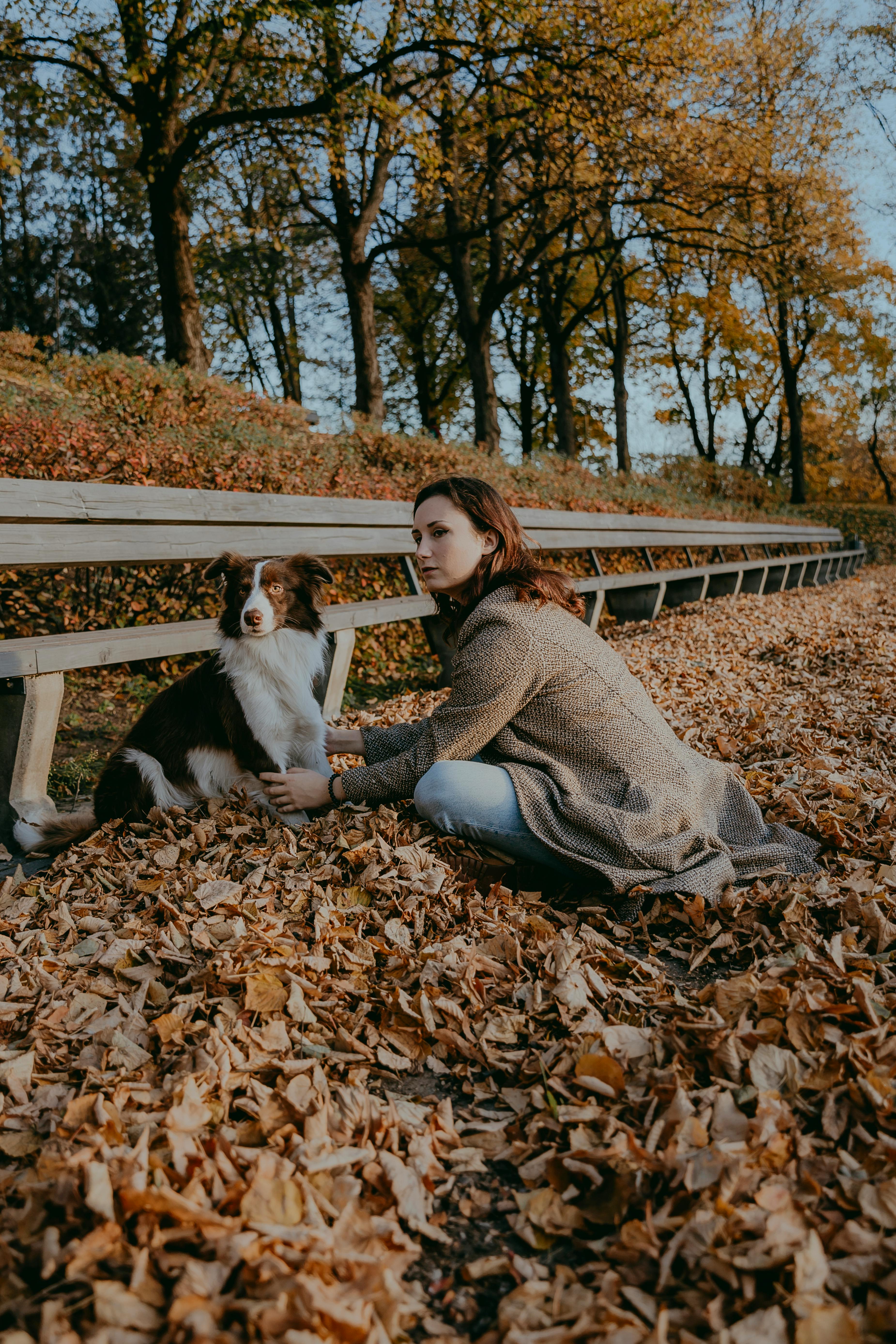 Woman Spending Time with Dog · Free Stock Photo