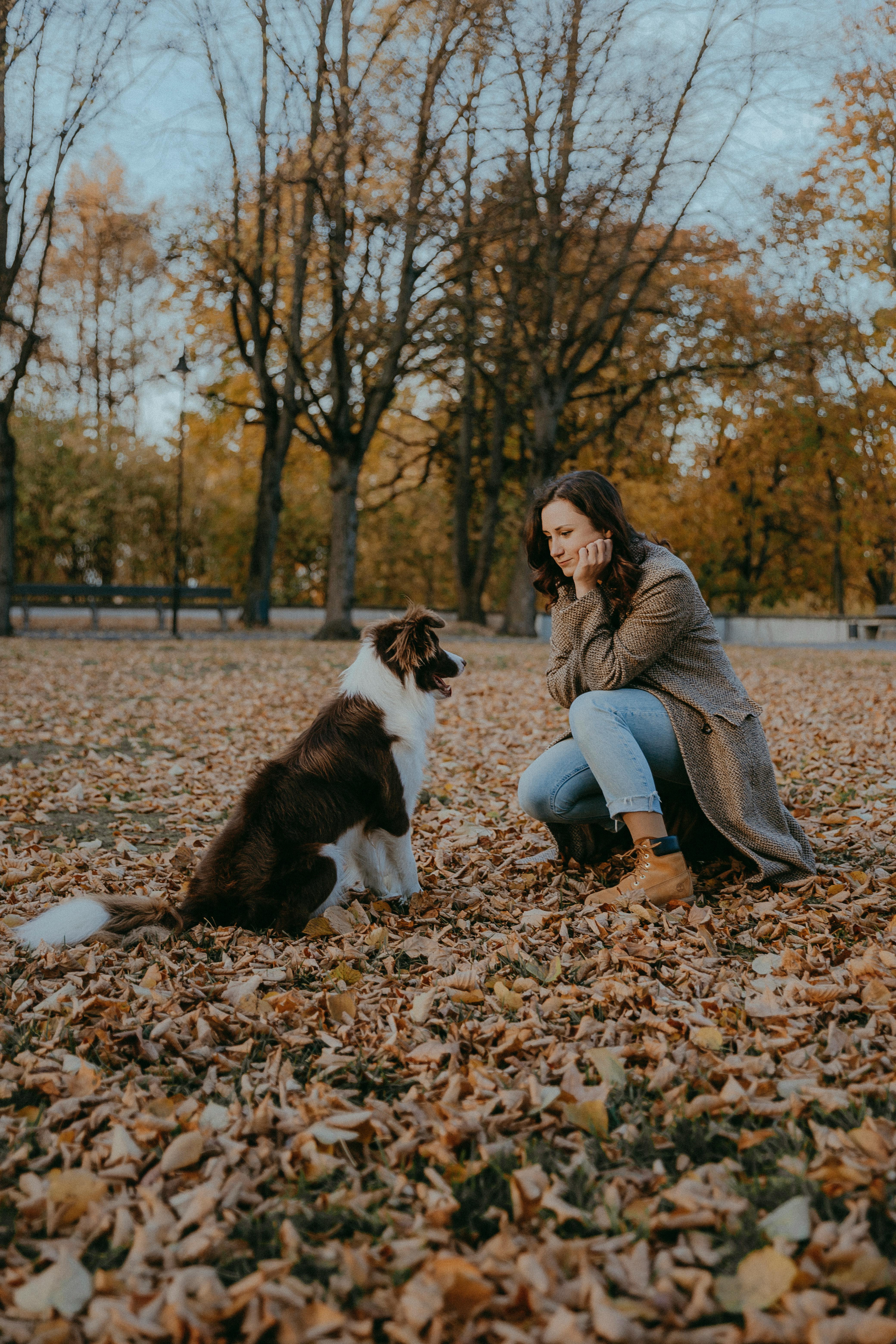 Dog Lover with Her Pet in Park · Free Stock Photo
