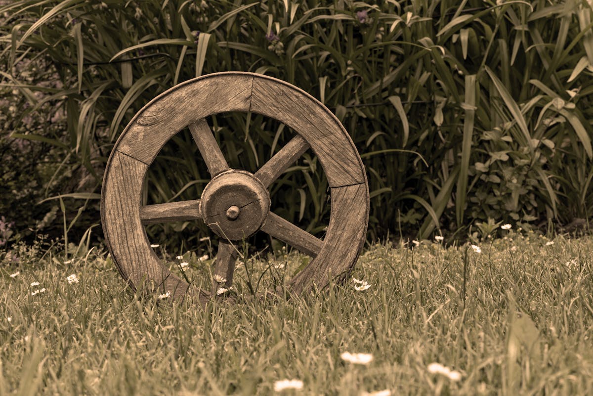 Wheel Photos, Download The BEST Free Wheel Stock Photos & HD Images