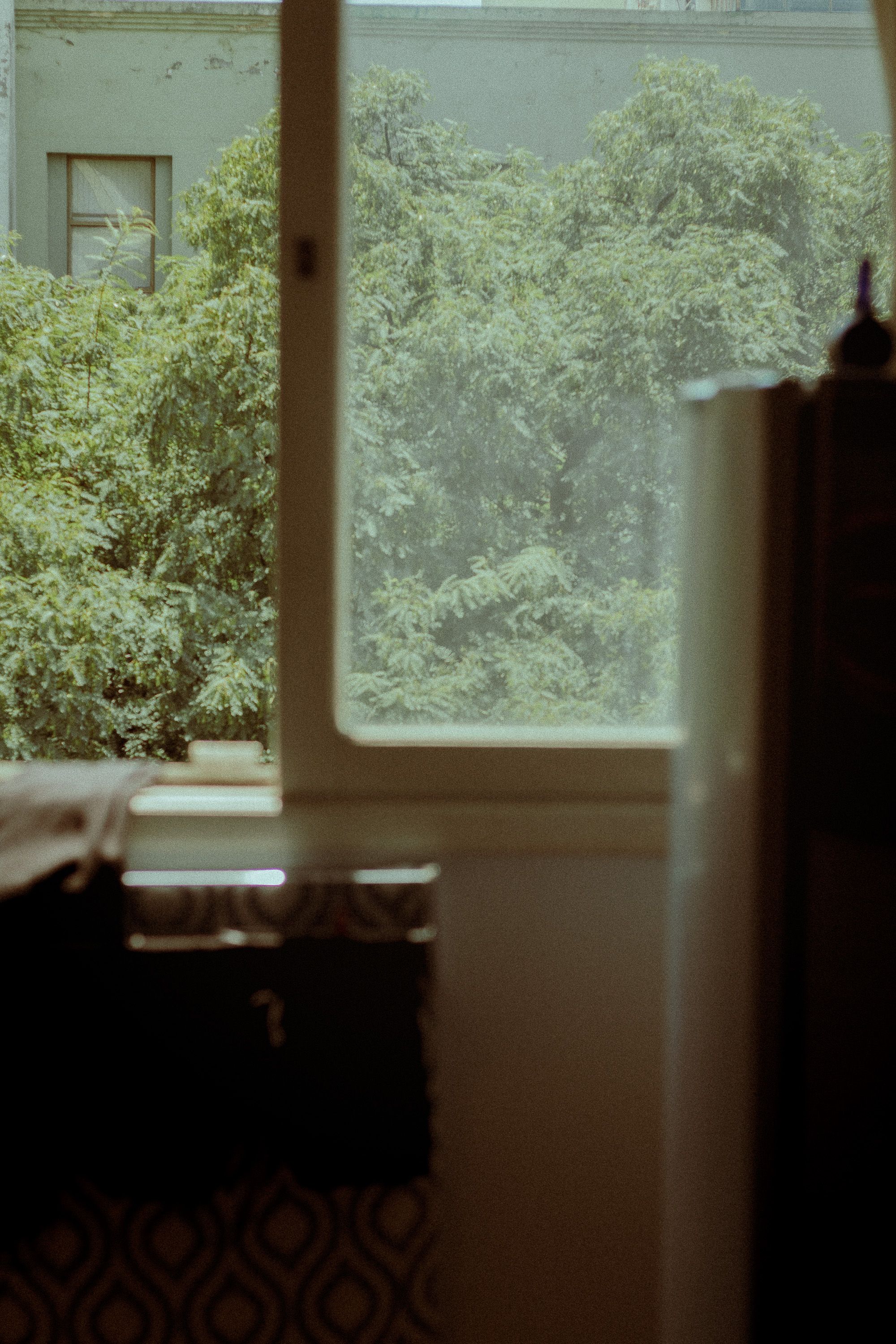 Sunlit Trees behind Window · Free Stock Photo
