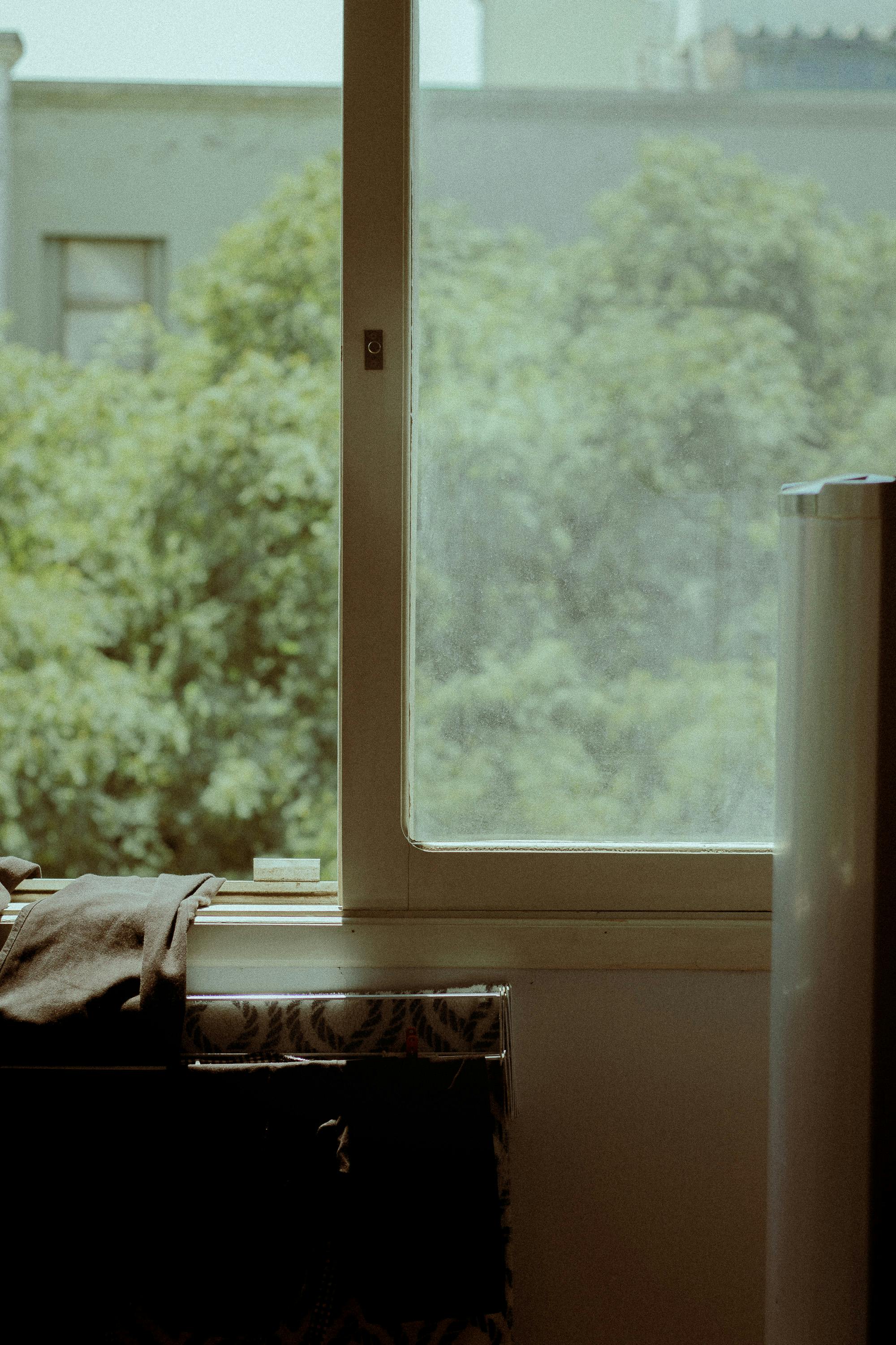 Tree Window View Photos, Download The BEST Free Tree Window View Stock ...