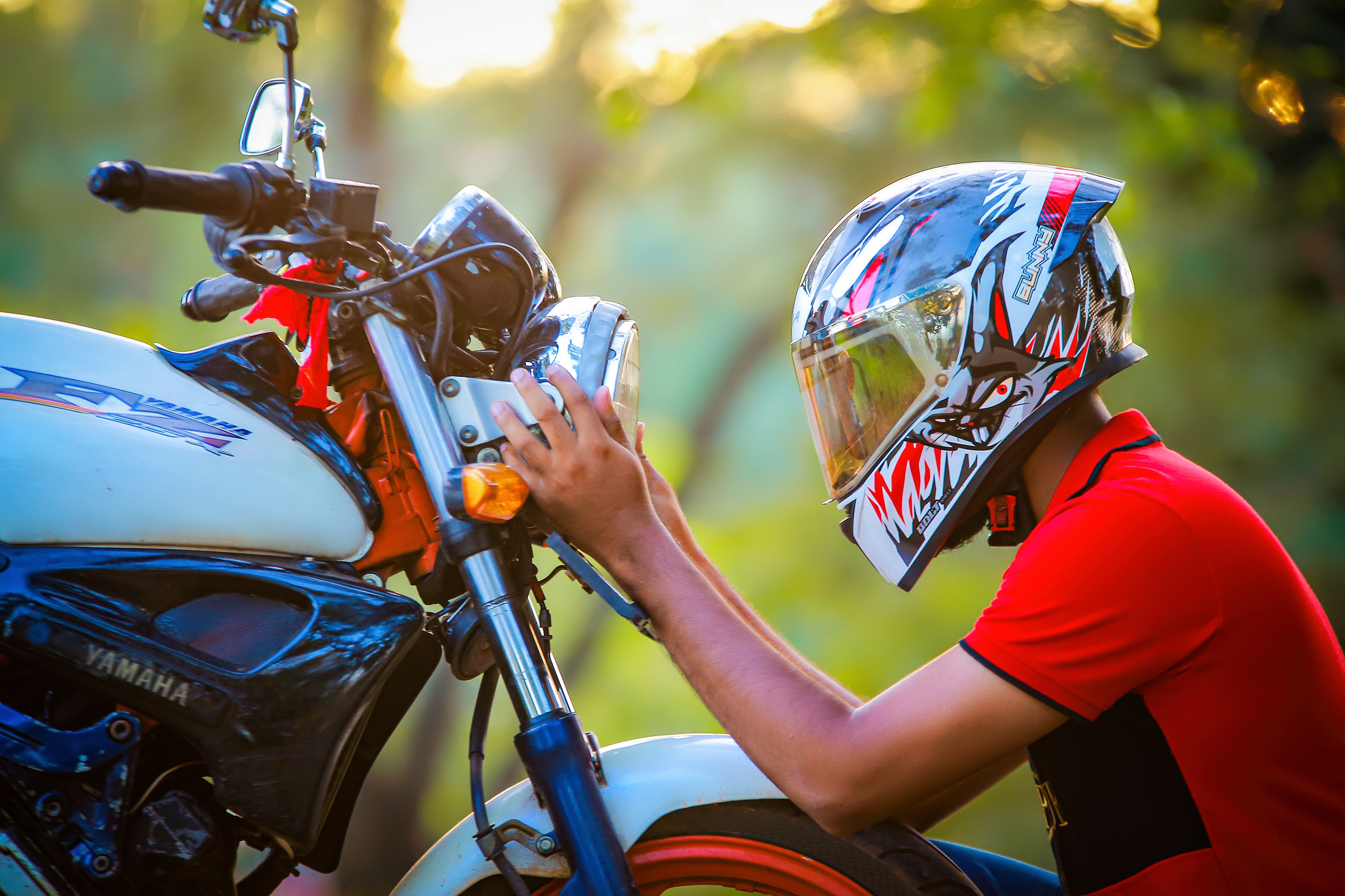 Bike Lover · Free Stock Photo