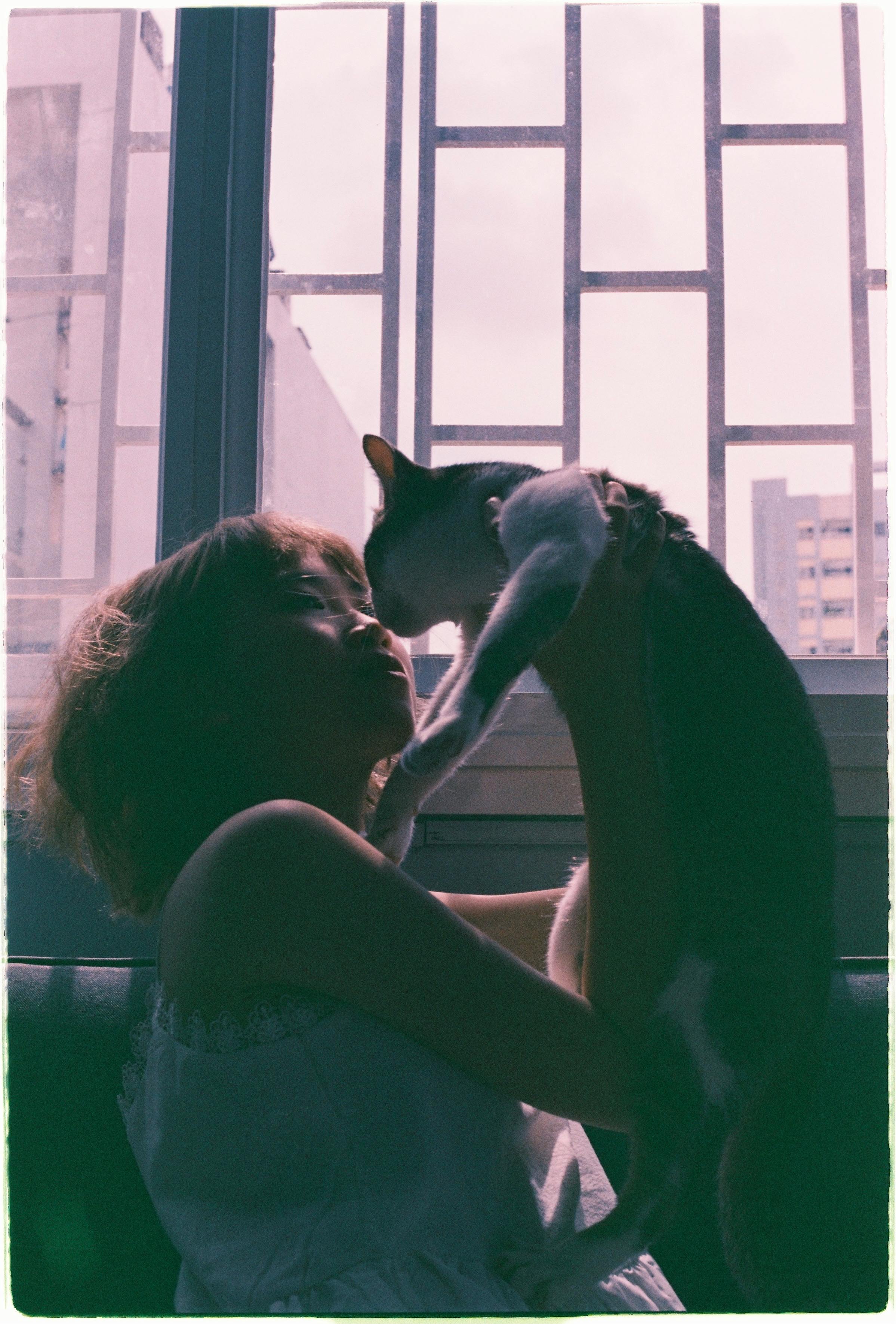 Woman Sitting under Window Picking up Cat · Free Stock Photo