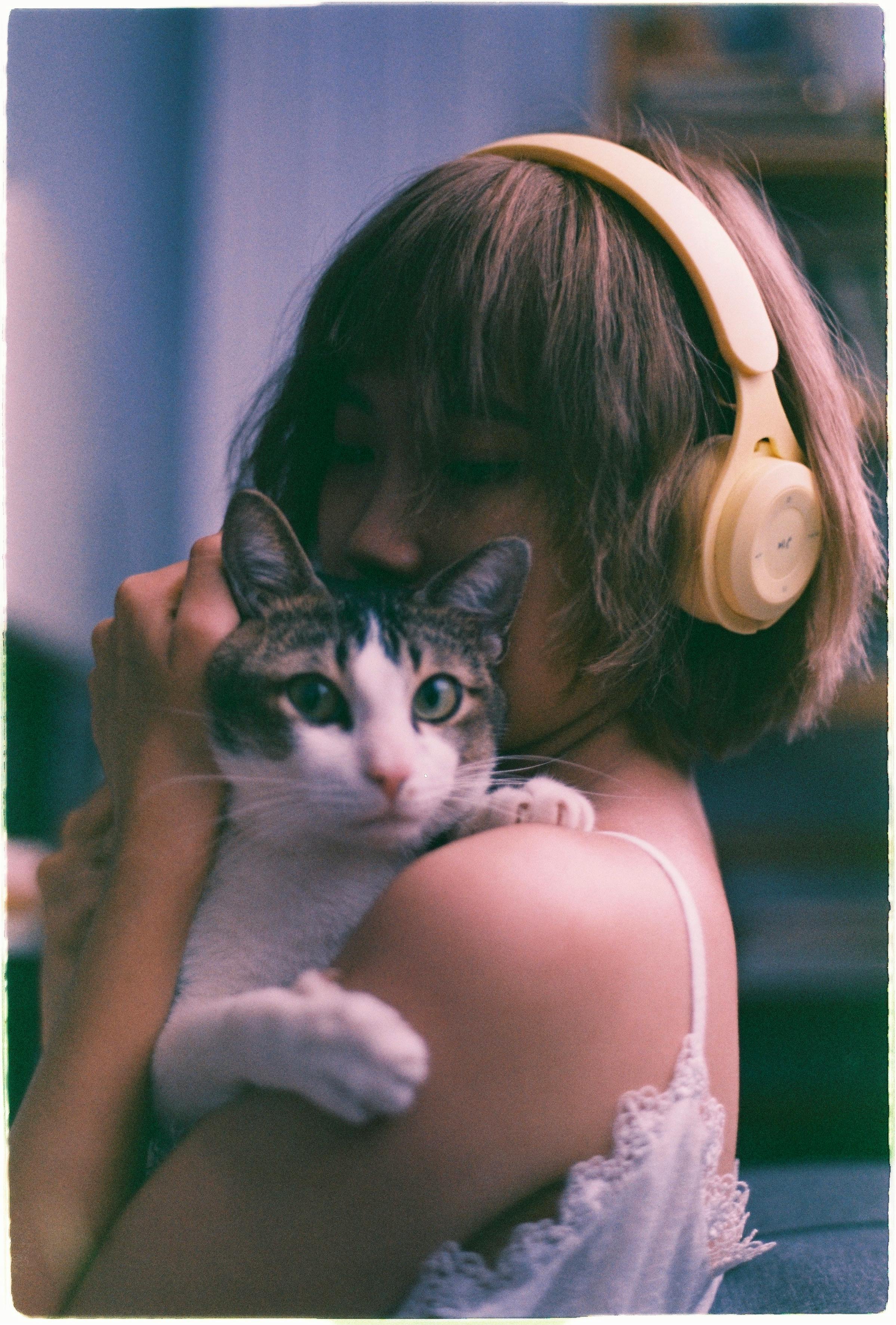 Cat With Headphone Photos, Download The BEST Free Cat With Headphone ...