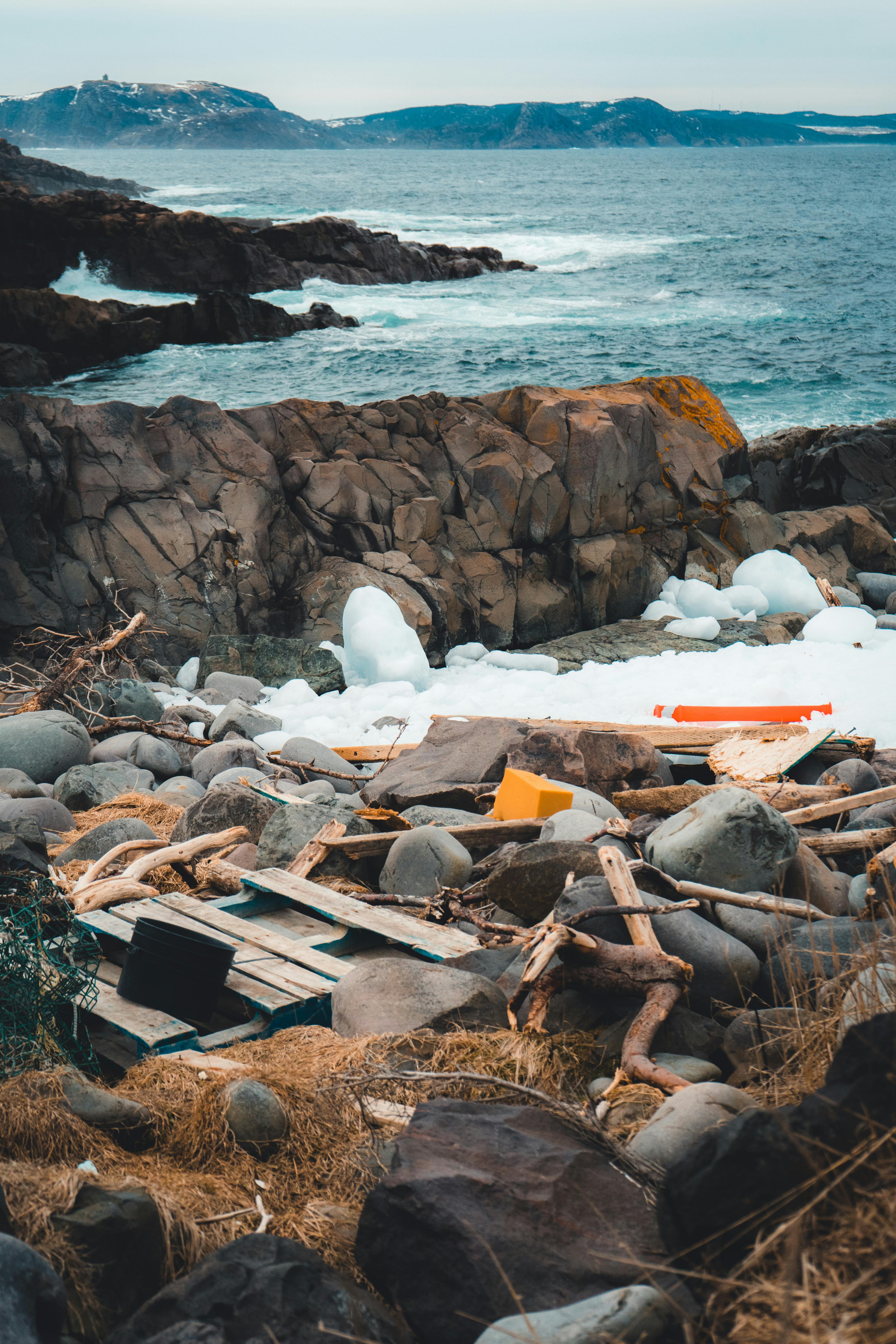 Trash on Sea Shore · Free Stock Photo