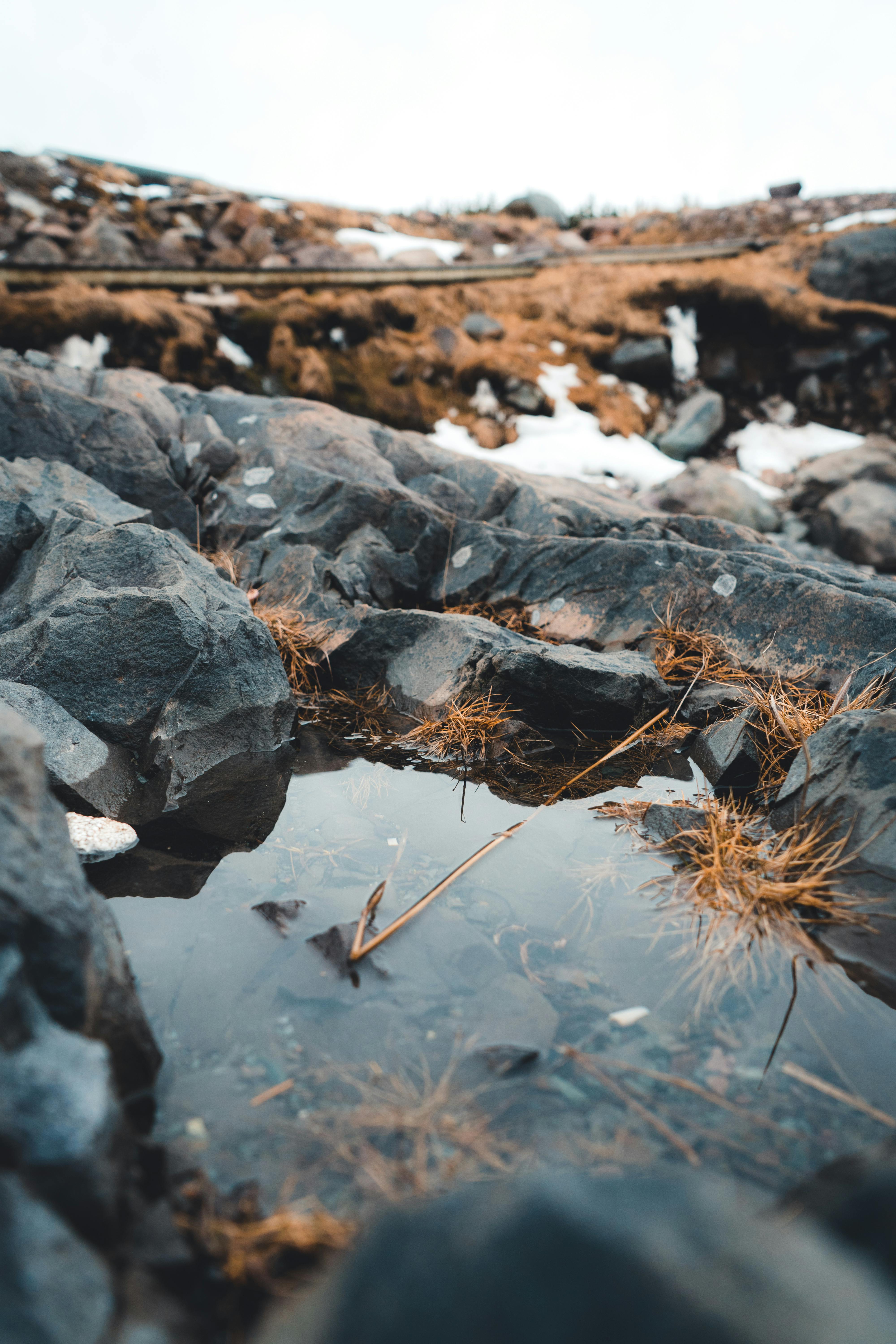 Water Pooling between Rocks · Free Stock Photo