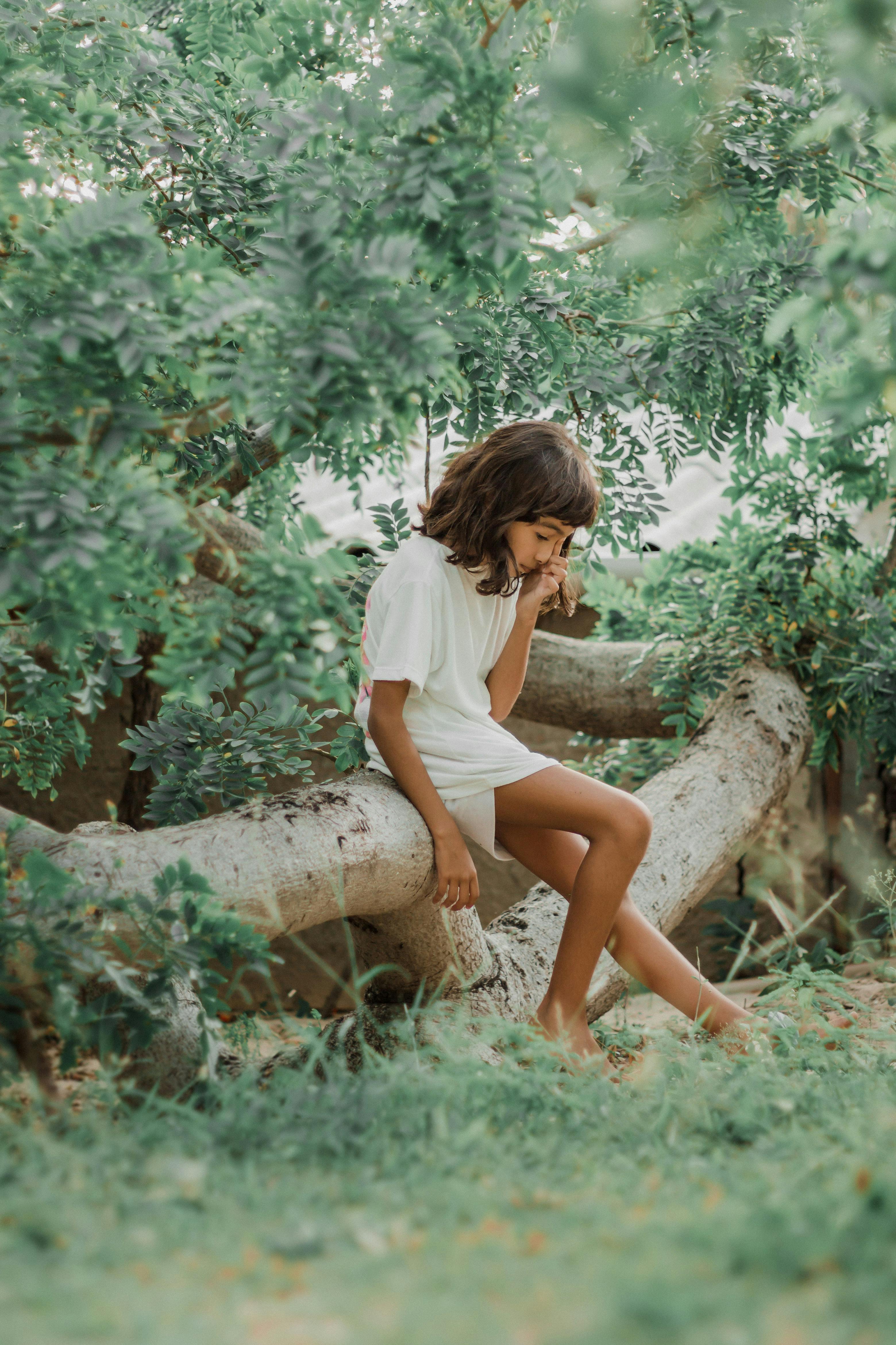 Child Tree Photos, Download The BEST Free Child Tree Stock Photos & HD ...