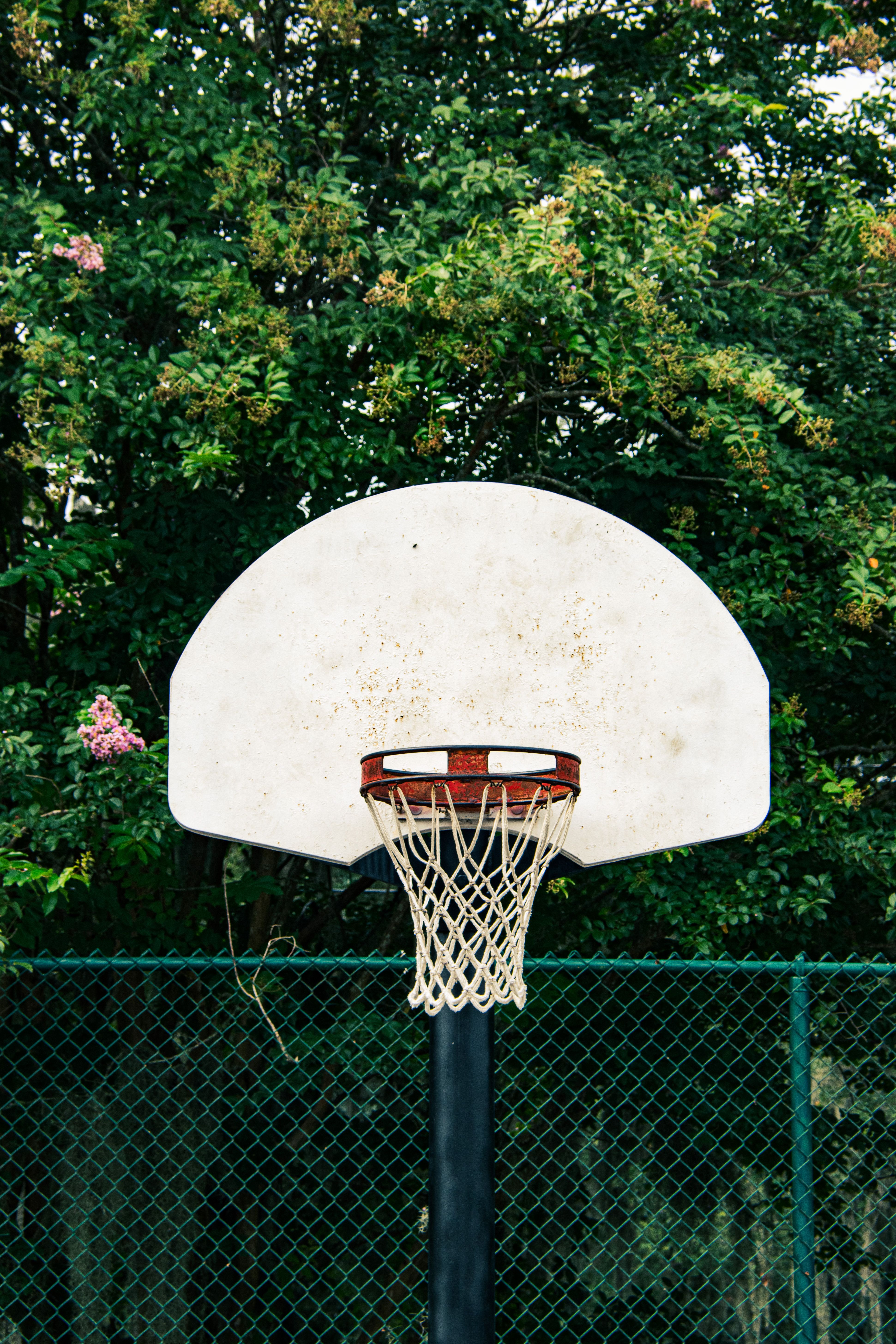 Photo of White Basketball System · Free Stock Photo