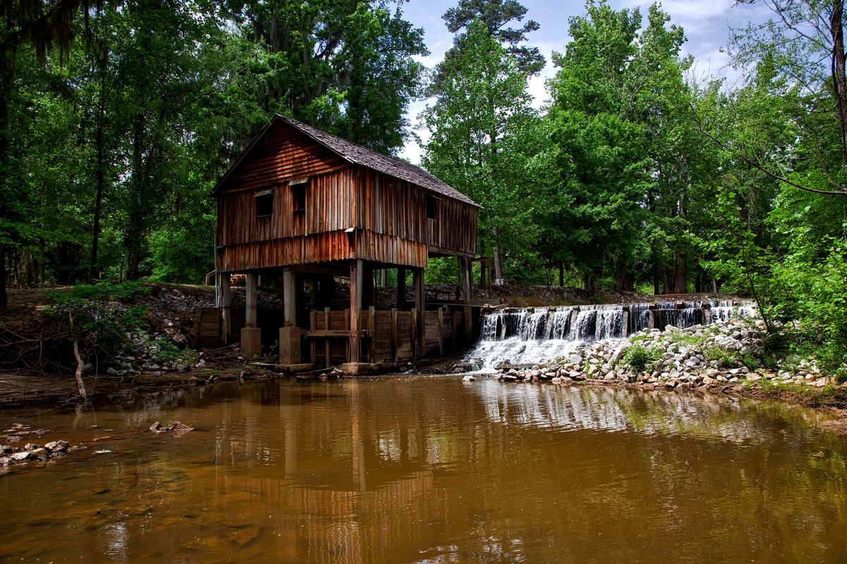 Alabama Photos, Download The BEST Free Alabama Stock Photos & HD Images