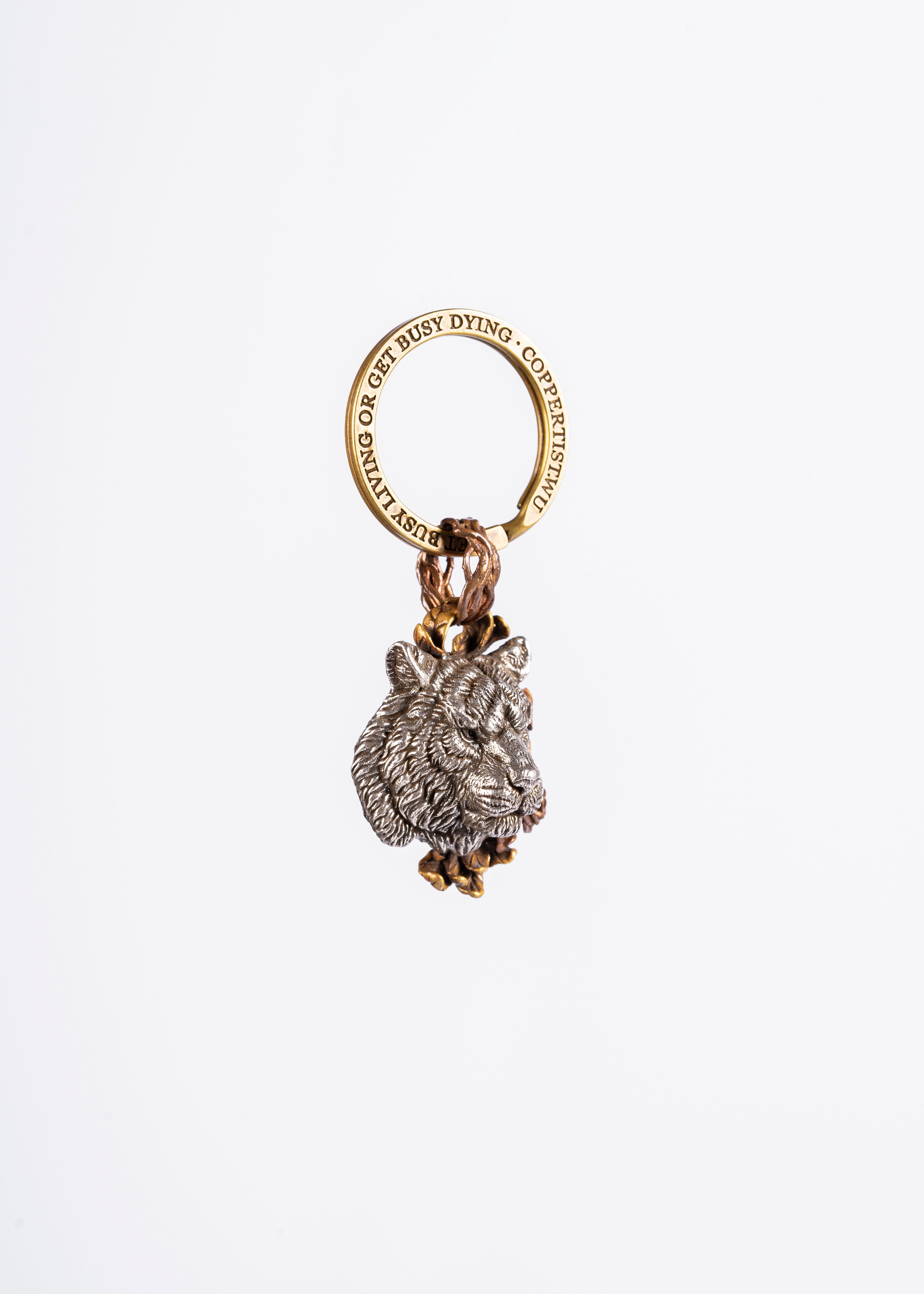 A Lion Key Chain · meta.free_stock.photo