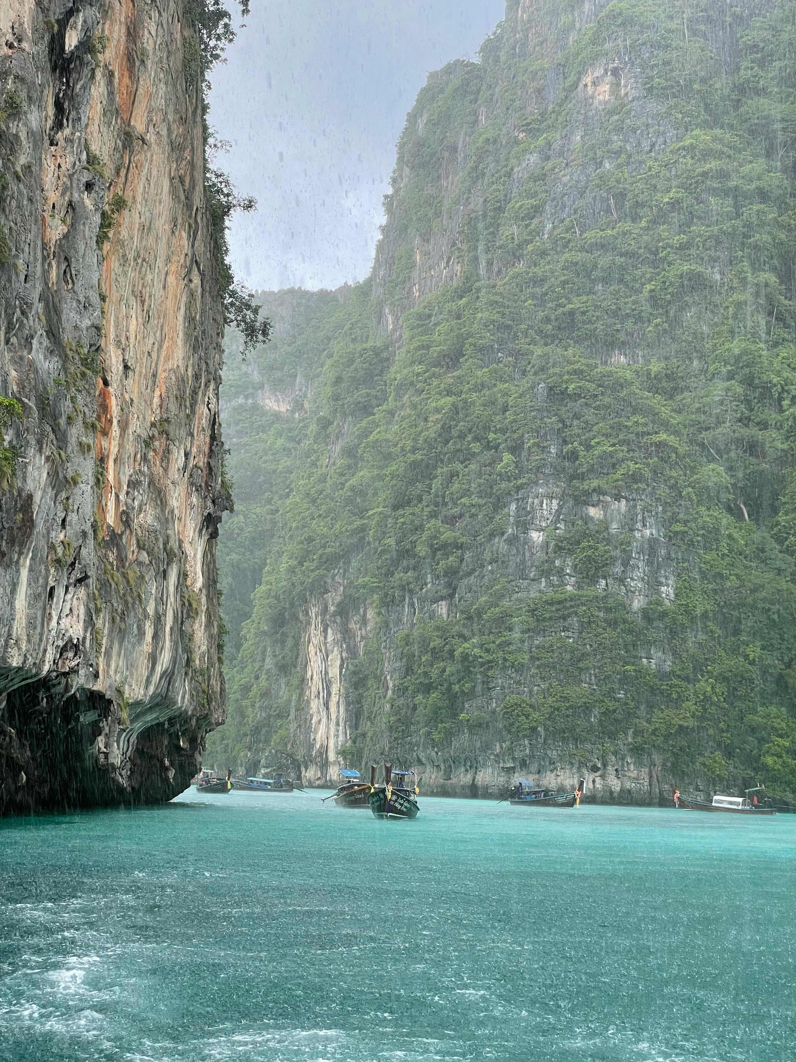 Sea Forest Photos, Download The BEST Free Sea Forest Stock Photos & HD ...