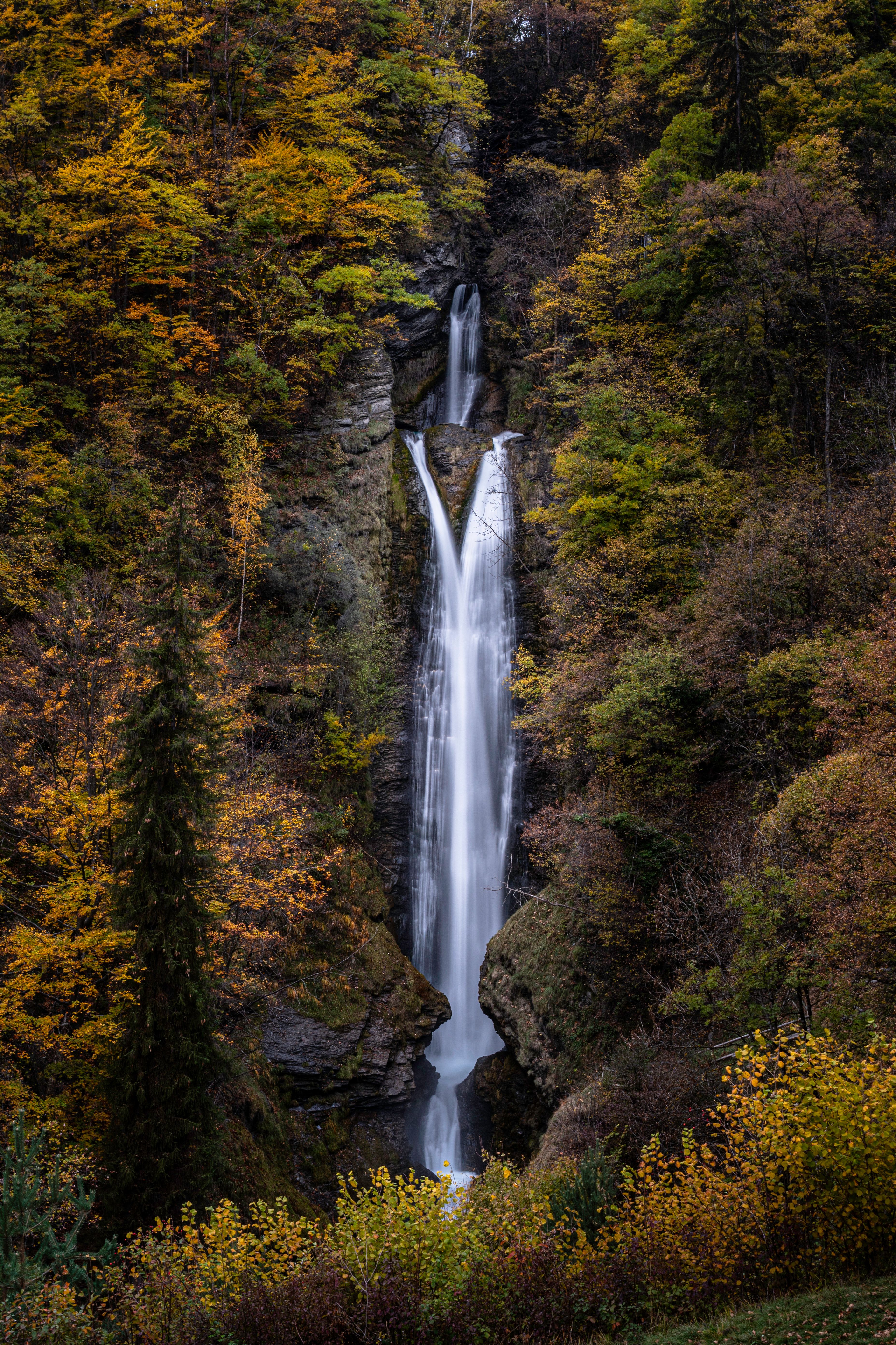 Aerial Shot of Water Fall · Free Stock Photo