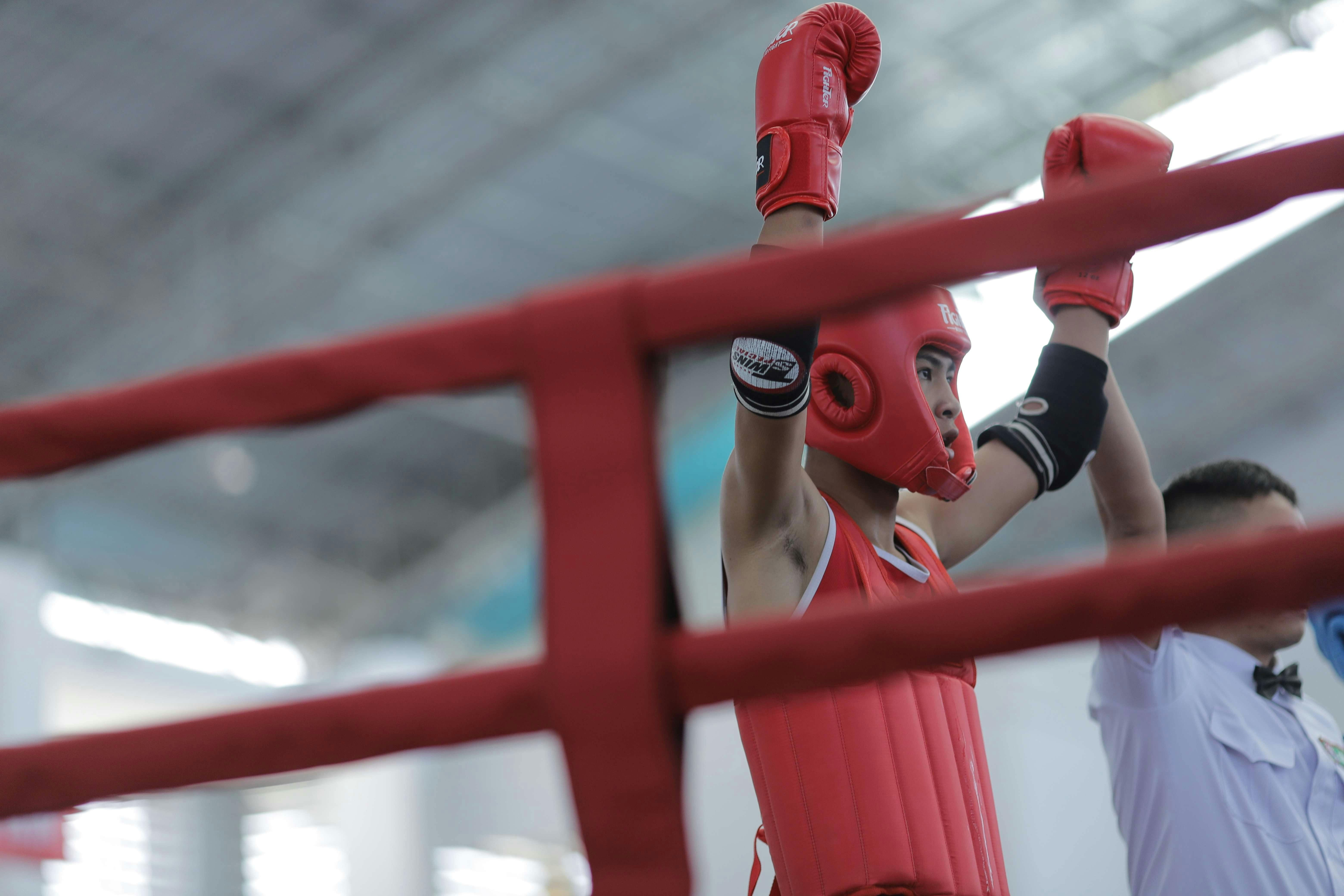 Boxer with Arms Raised · Free Stock Photo