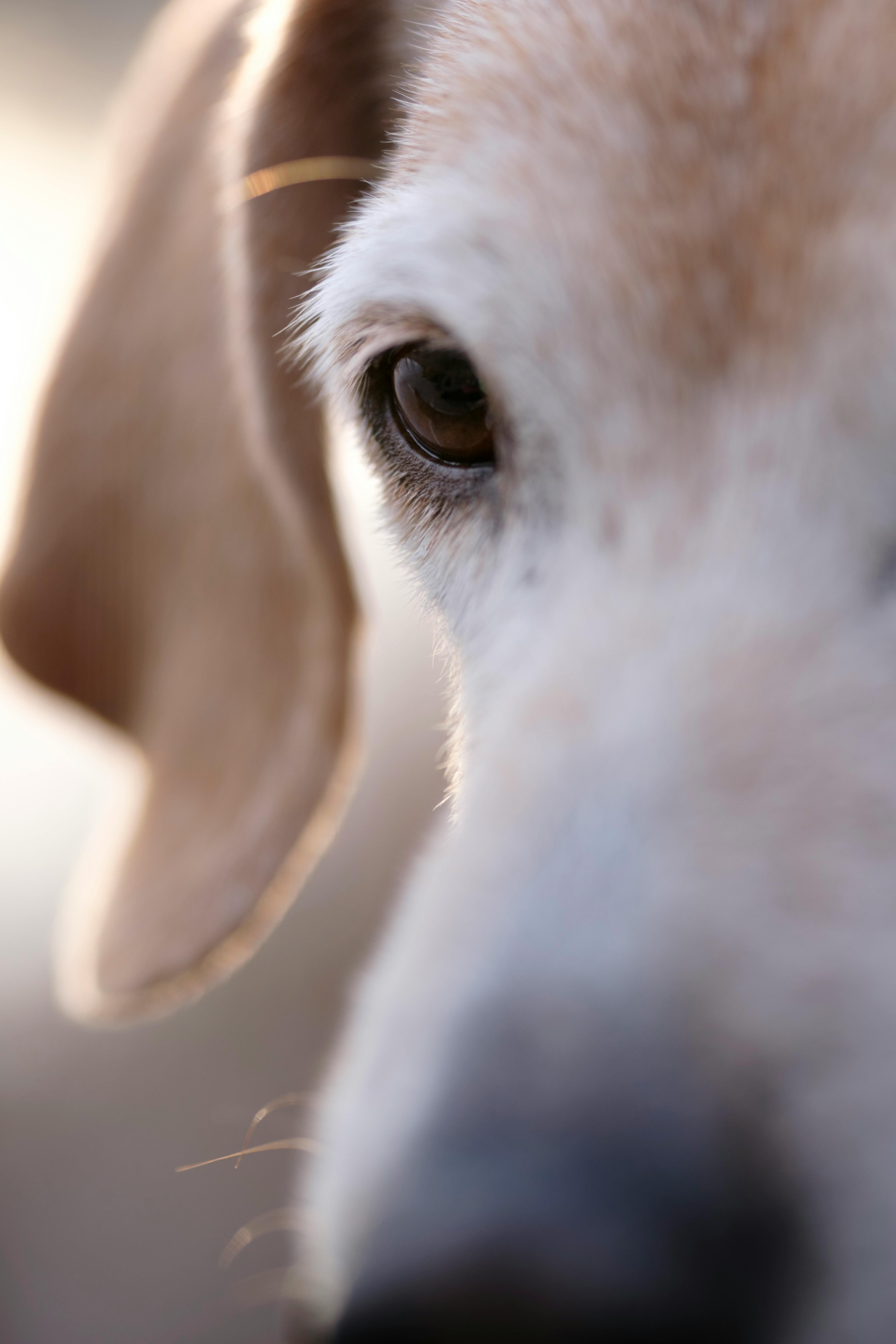 Network Head Photos, Download The BEST Free Network Head Stock Photos ...