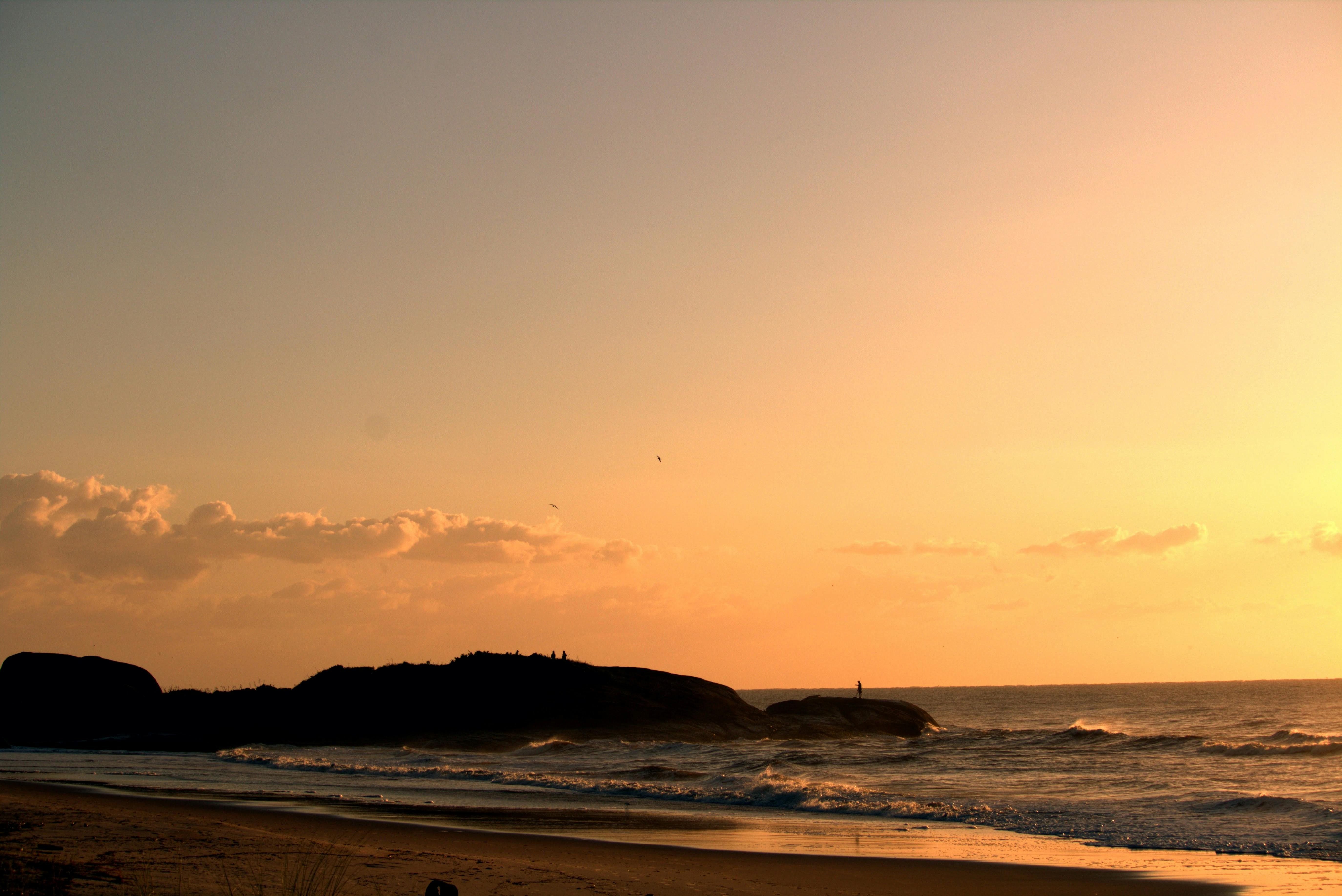 Beach Seashore Photos, Download The BEST Free Beach Seashore Stock ...