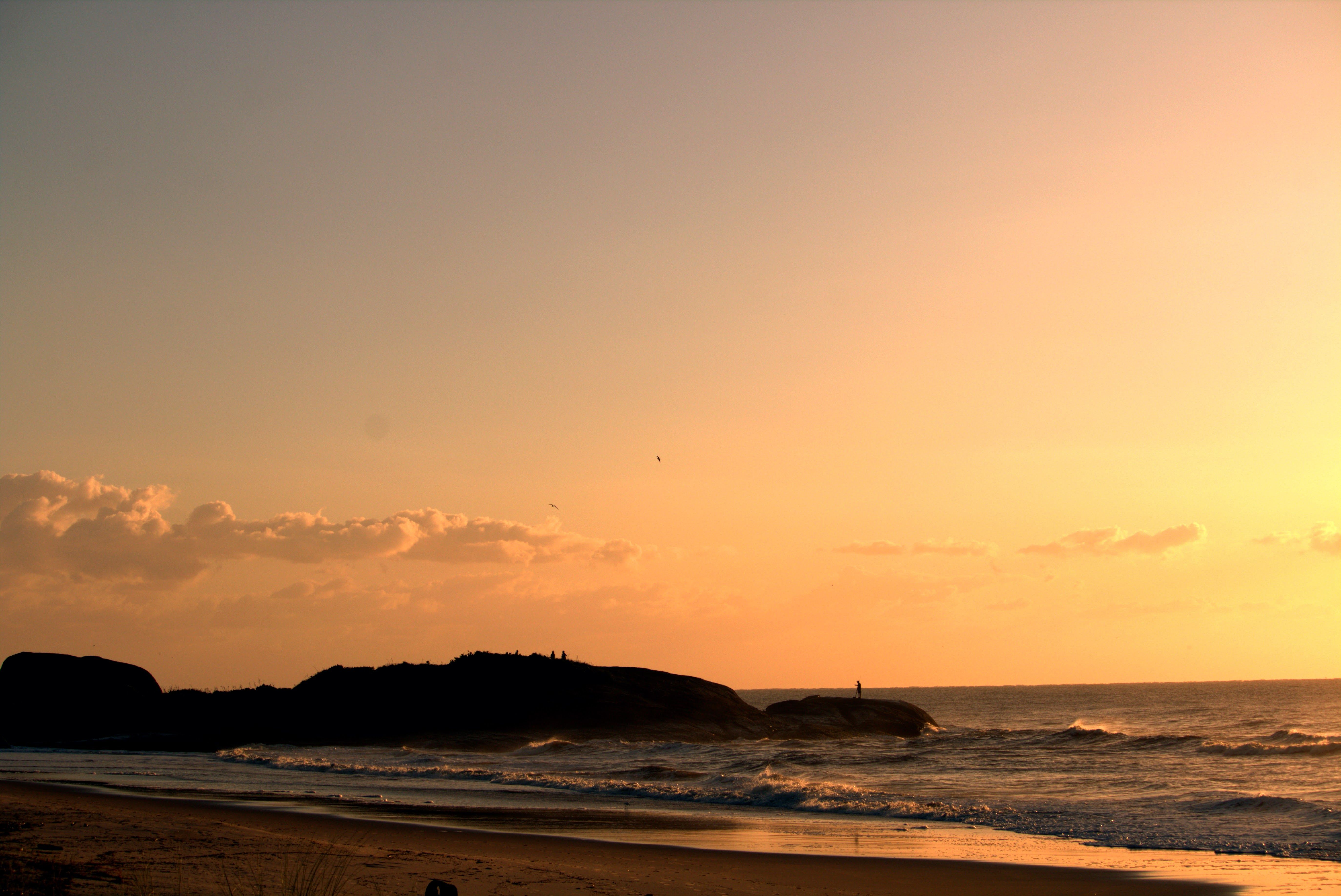 Beach at Dawn · Free Stock Photo