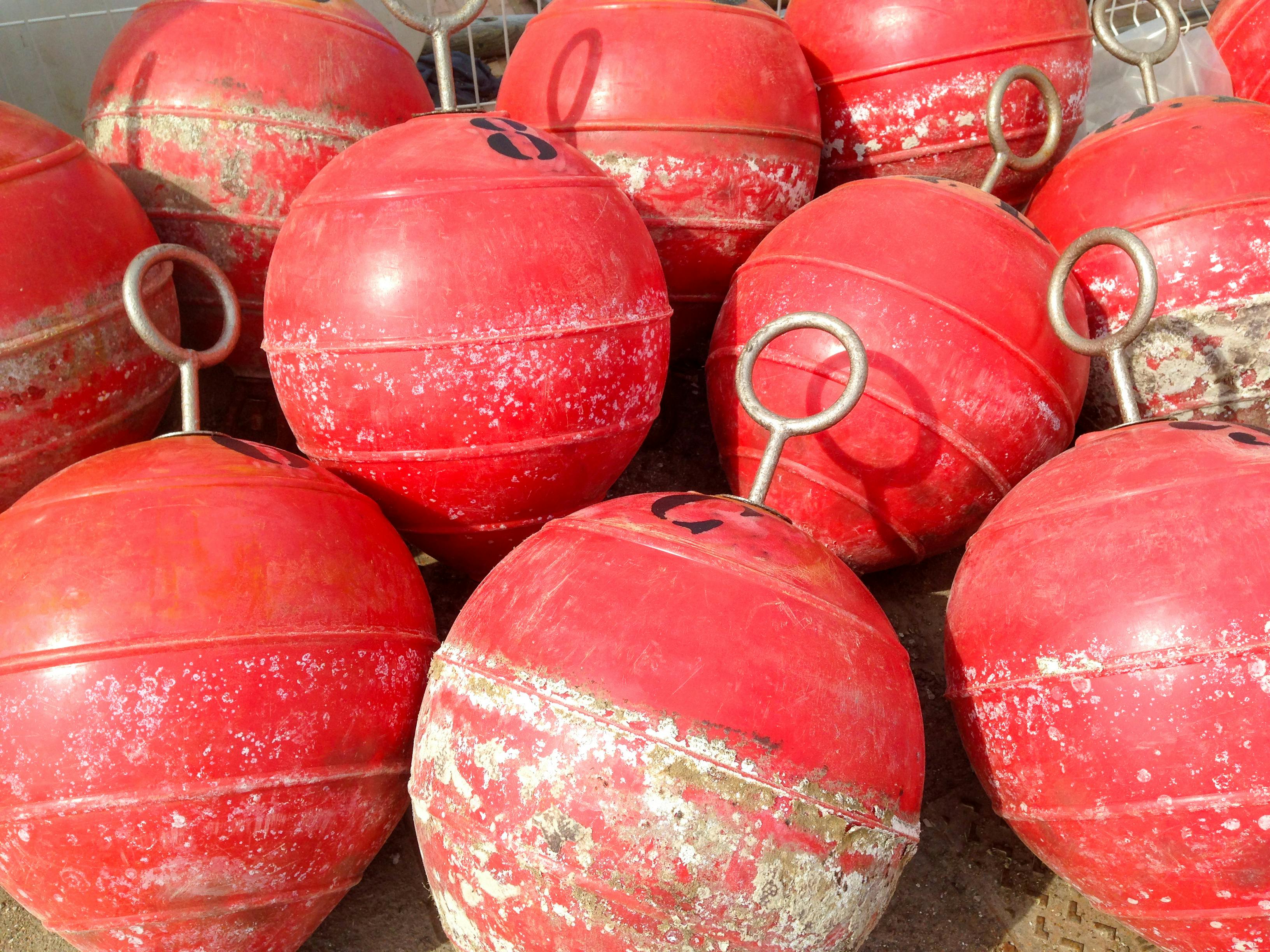 Buoying Photos, Download The BEST Free Buoying Stock Photos & HD Images